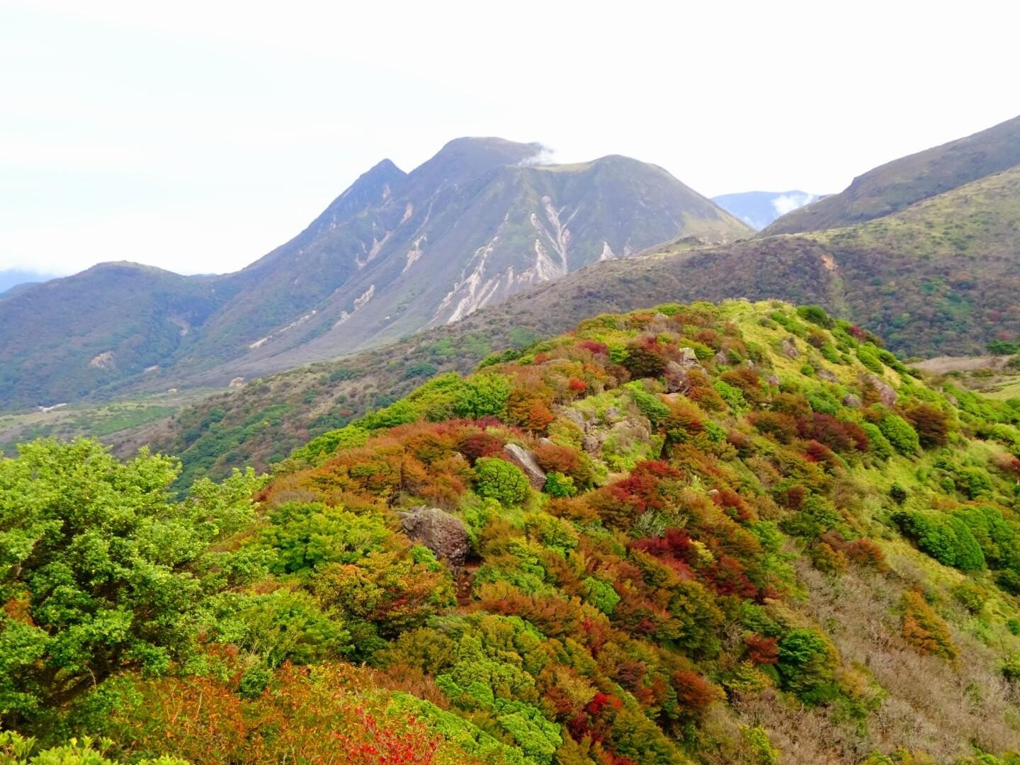 紅葉🍁までもう少し / SAYOKOさんの九重山（久住山）・大船山・星生山の活動データ | YAMAP / ヤマップ