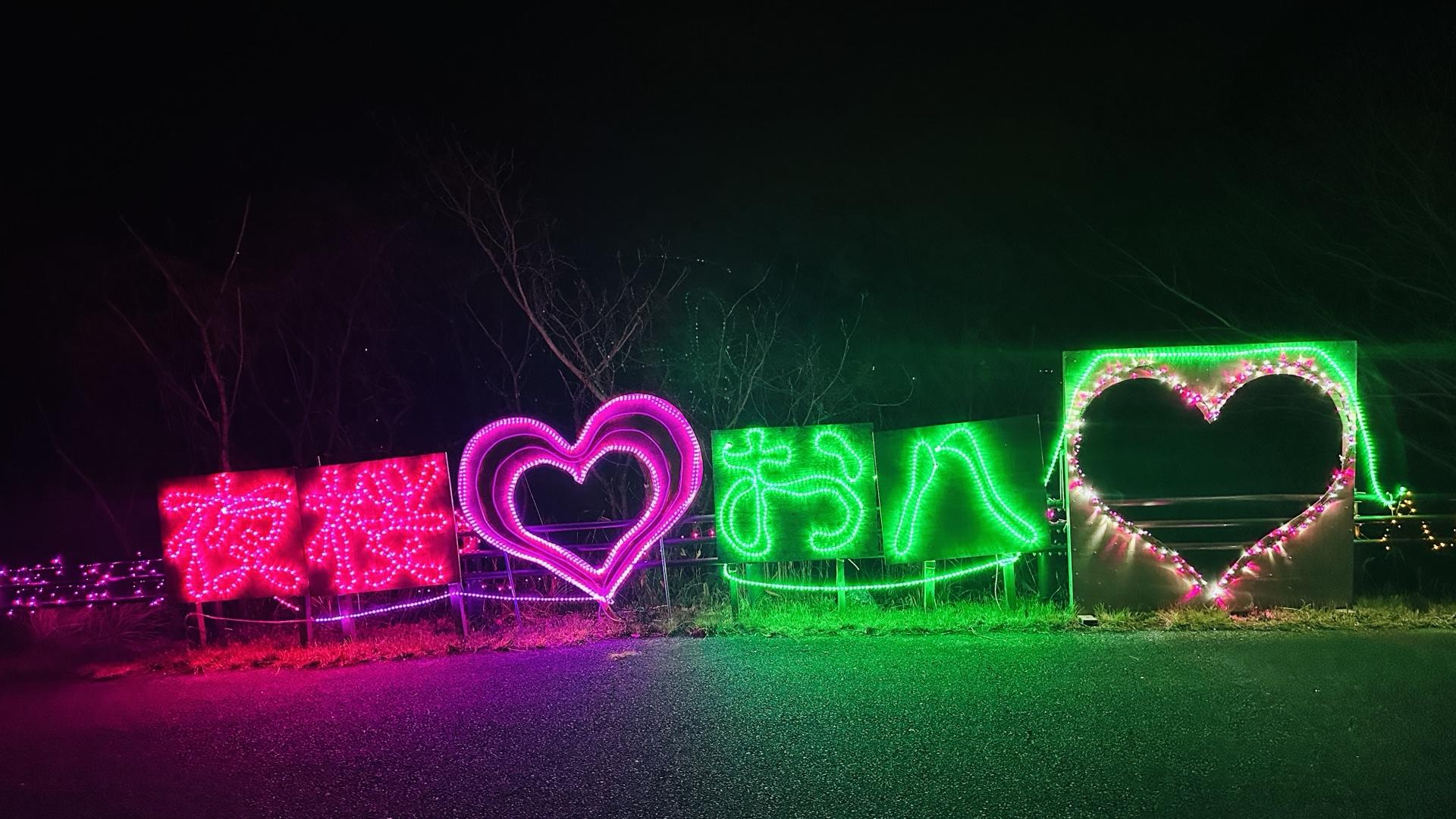 八面山 夜桜お八 今年は咲くのが遅くてど... / Haroldさんのモーメント | YAMAP / ヤマップ