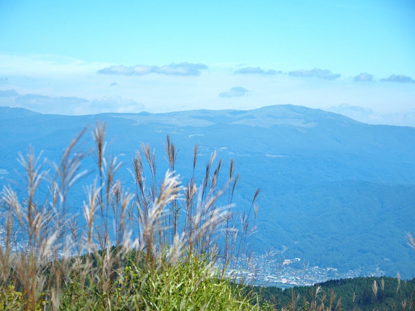 守屋山東峰・守屋山中嶽・守屋山 / ICHI JUNさんの守屋山の活動データ | YAMAP / ヤマップ