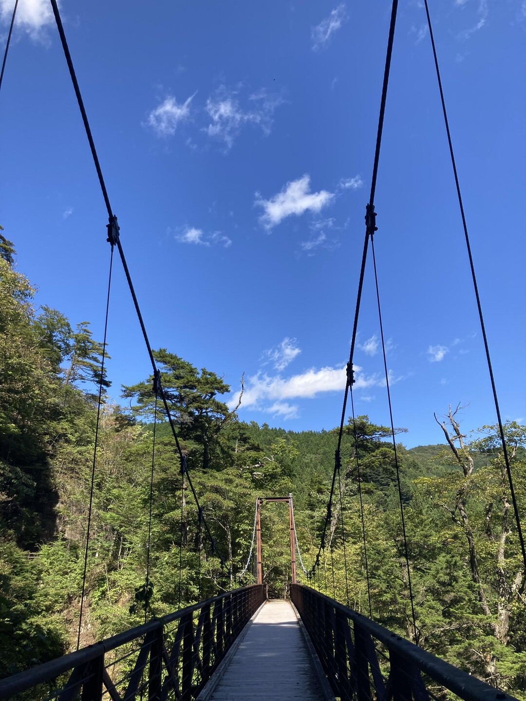 三頭山（西峰）・三頭山（中央峰）・三頭山（東峰） / senさんの三頭山・槇寄山・土俵岳の活動データ | YAMAP / ヤマップ