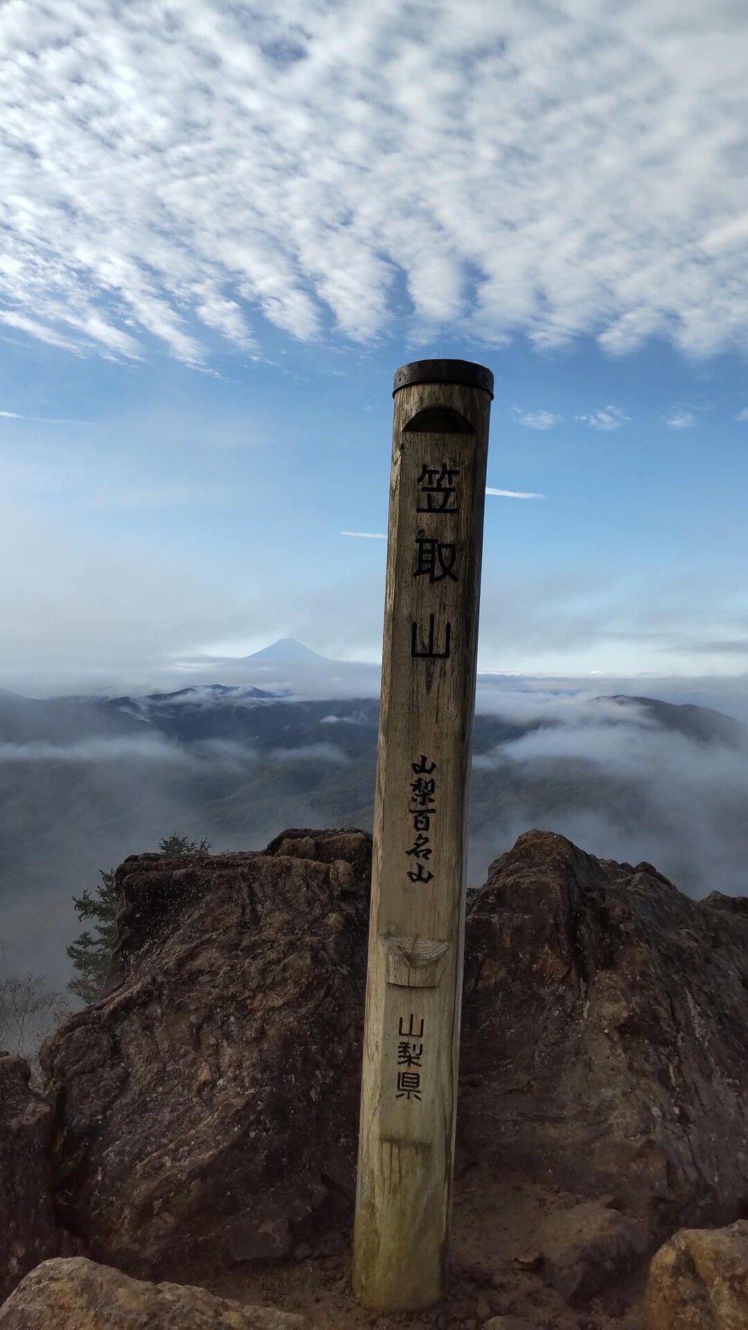 テン泊で新地平BS〜笠取山〜落合BS / 441Mさんの和名倉山・笠取山・東仙波の活動データ | YAMAP / ヤマップ