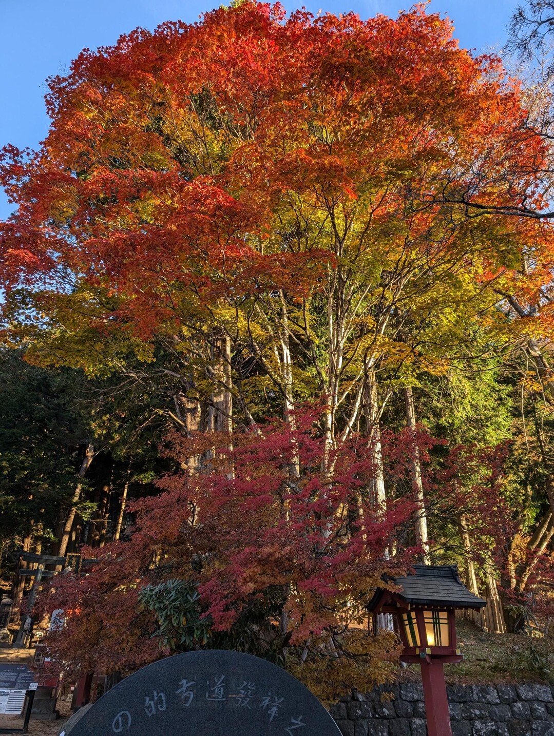 男体山 / nicomomoさんの男体山の活動データ | YAMAP / ヤマップ