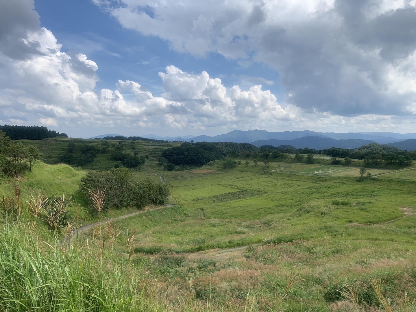レジェンド&バタフライ撮影地へ / kokiさんの香美町の活動データ | YAMAP / ヤマップ