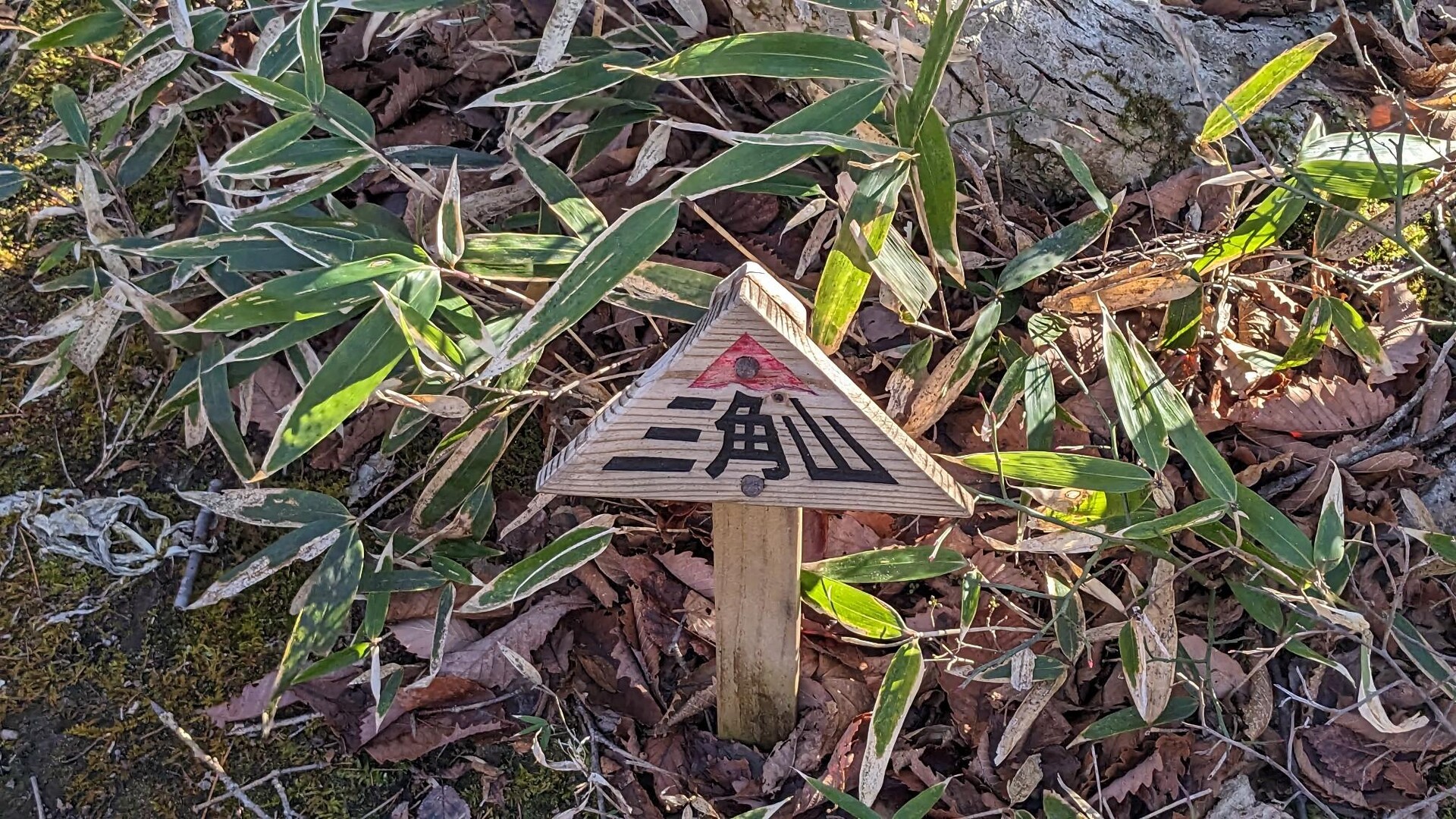 noraさんの投稿したフィールドメモ | YAMAP / ヤマップ