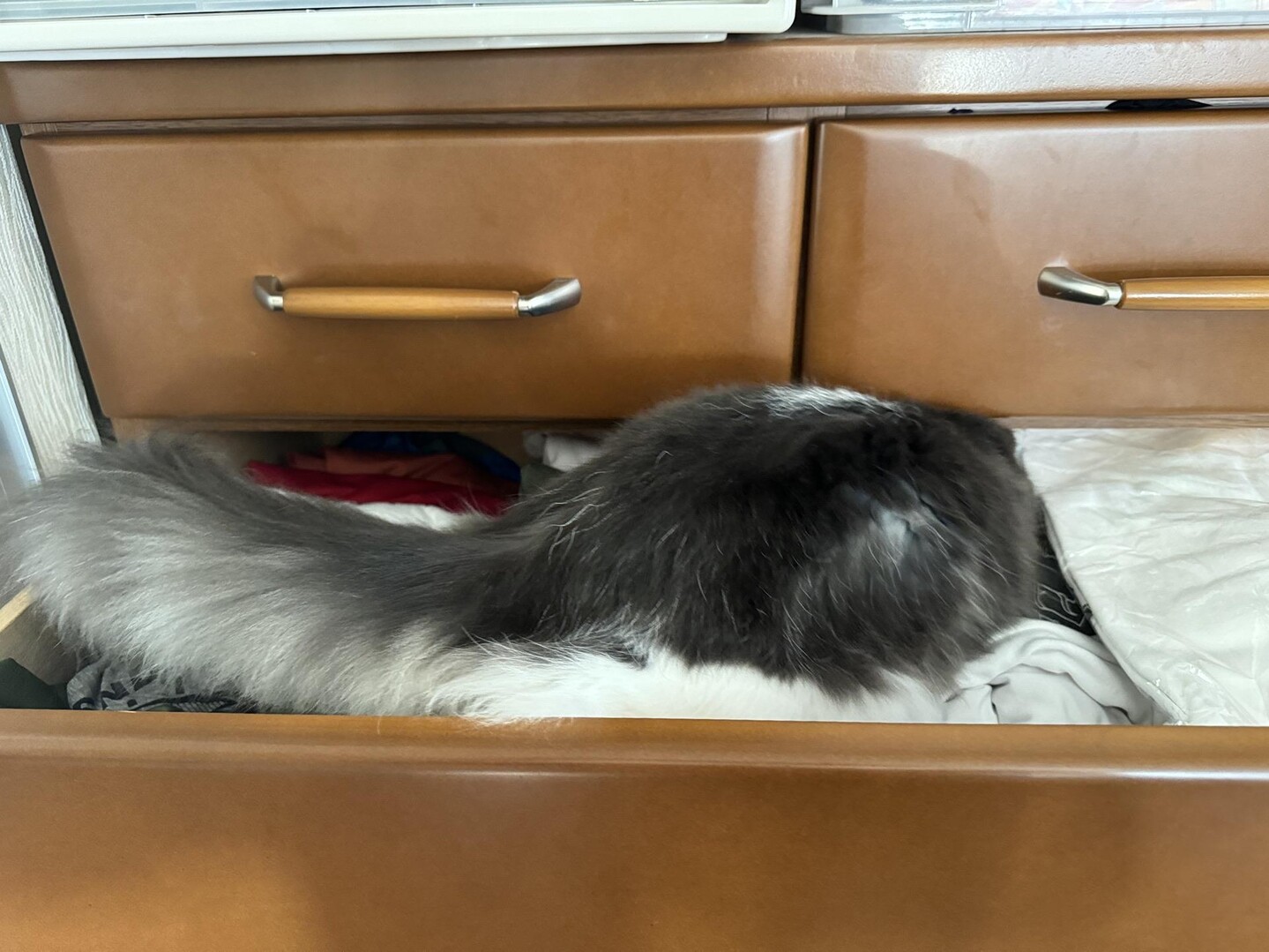 やめて下さい🐱 / Shin5さんのモーメント | YAMAP / ヤマップ