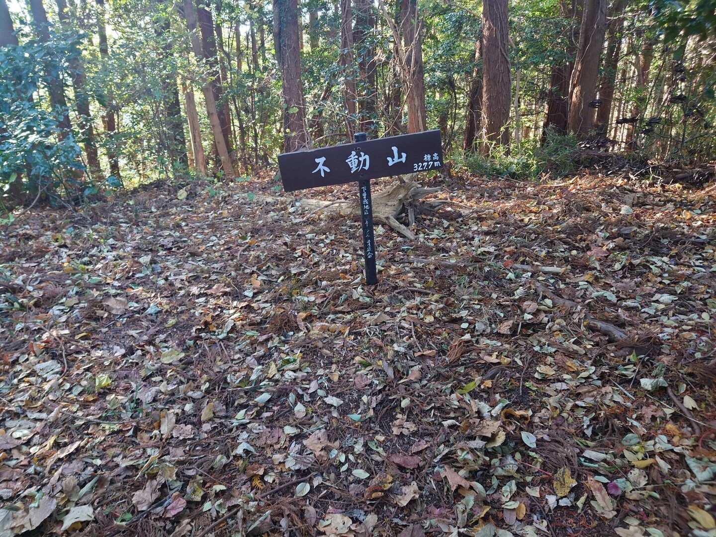 不動山 / StrayCatさんの不動山・浅間山・曽我山の活動データ | YAMAP / ヤマップ