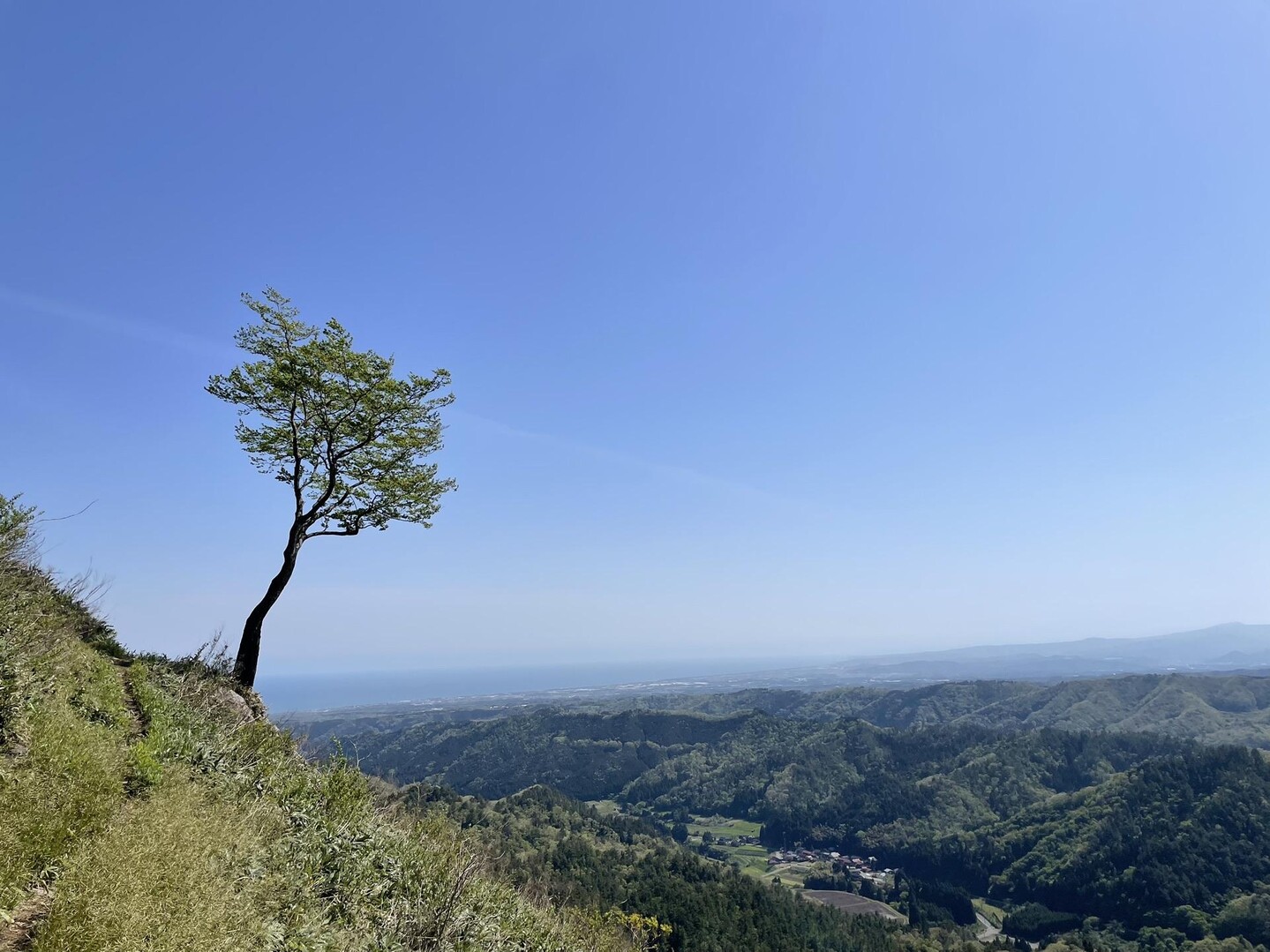 船上山 / なべ(ワンゲルOB)さんの大山・甲ヶ山・野田ヶ山の活動データ | YAMAP / ヤマップ