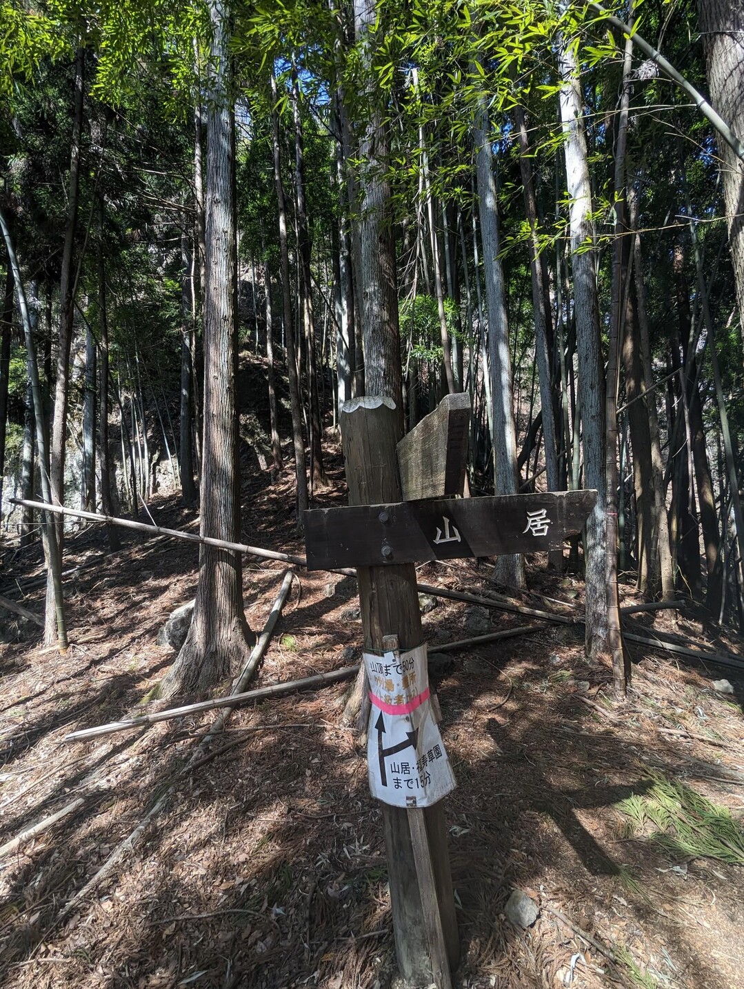 soraさんの投稿したフィールドメモ | YAMAP / ヤマップ