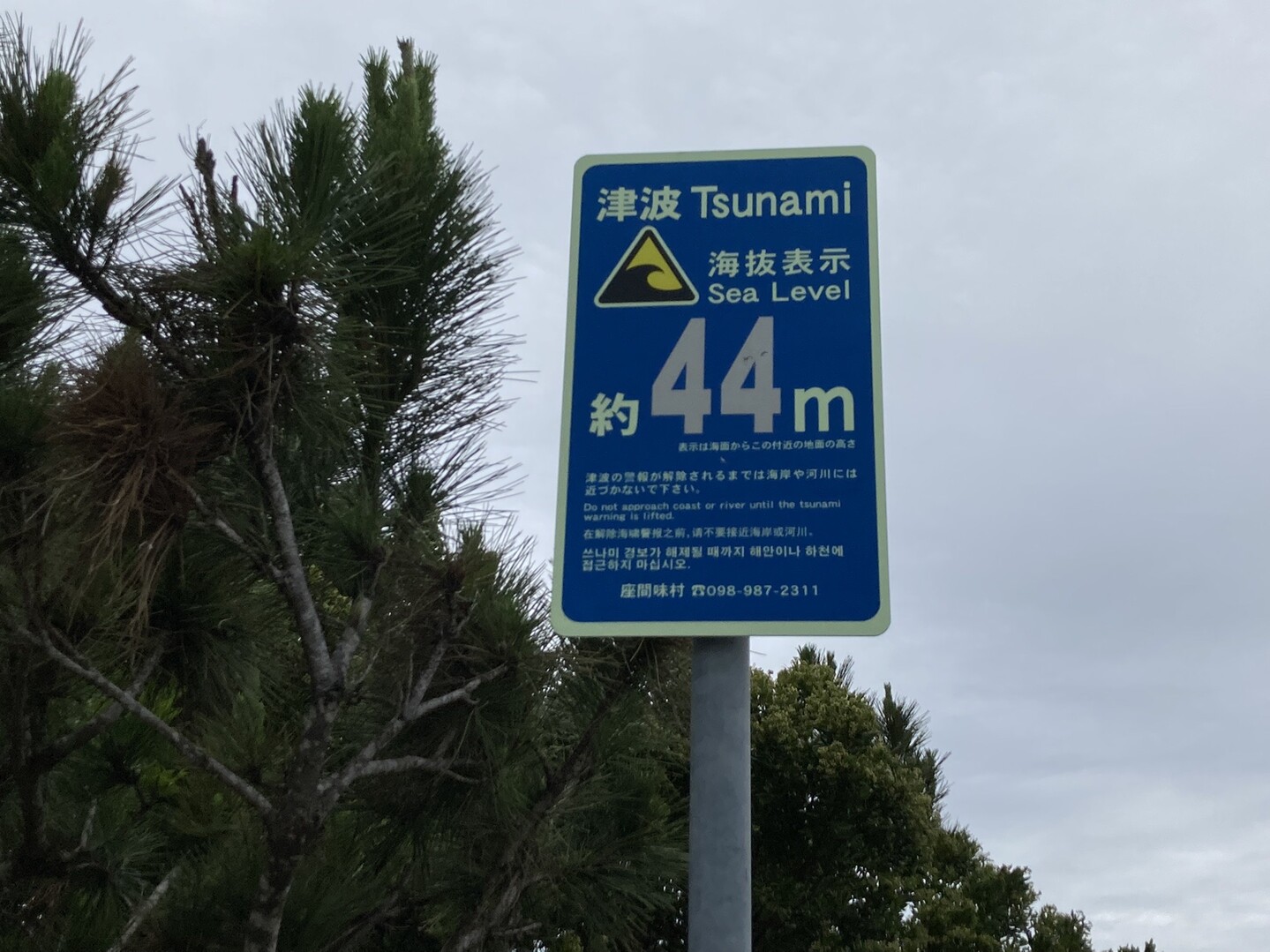 余談 たまにはこう言うところもイイです / コブダイさんのモーメント | YAMAP / ヤマップ