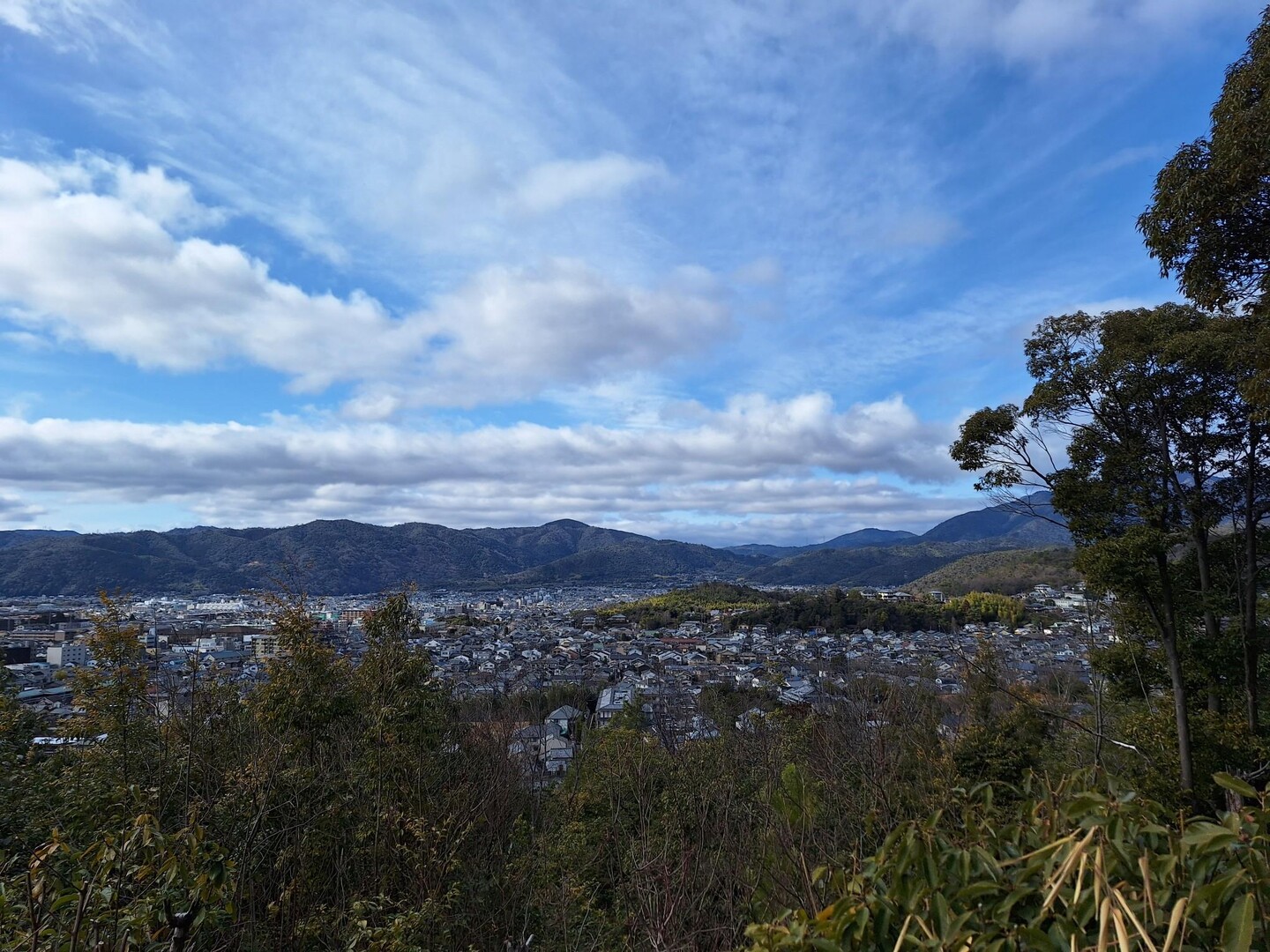 成就山・双ヶ岡（雙ヶ岡）・二の丘・三の丘 / jin-Kyotoさんの京都一周トレイルの活動データ | YAMAP / ヤマップ