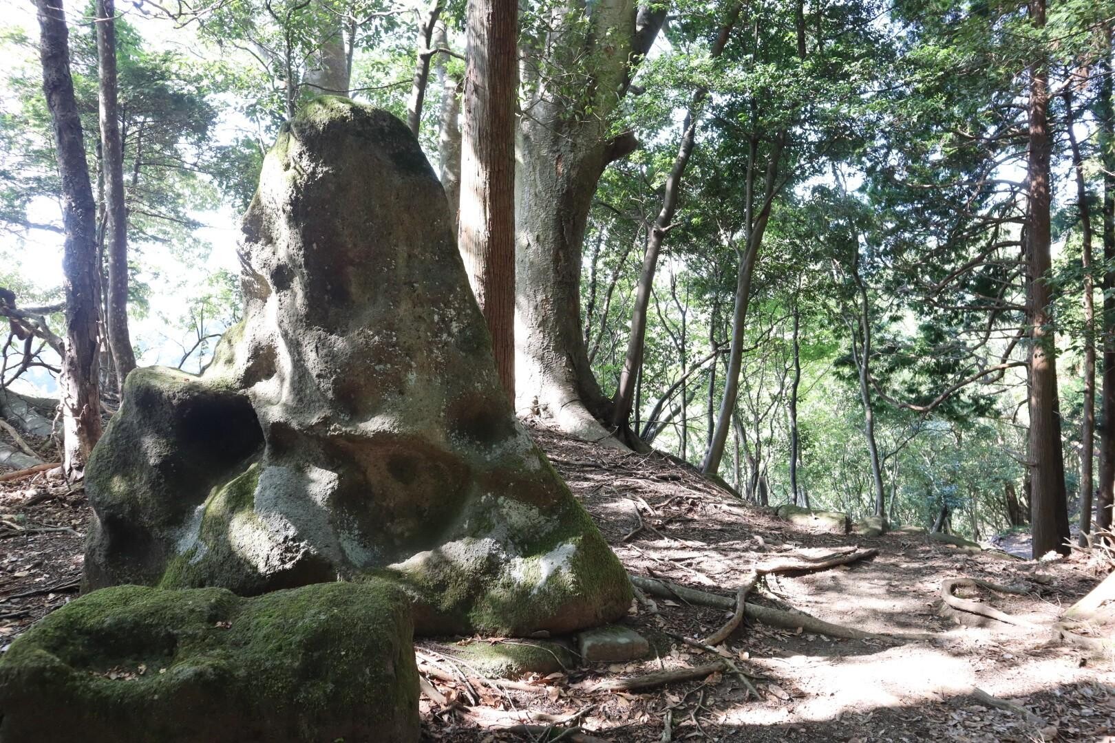 宇藤原浅間山・高宕山 / もんさんの高宕山・寂光山・大塚山の活動データ | YAMAP / ヤマップ