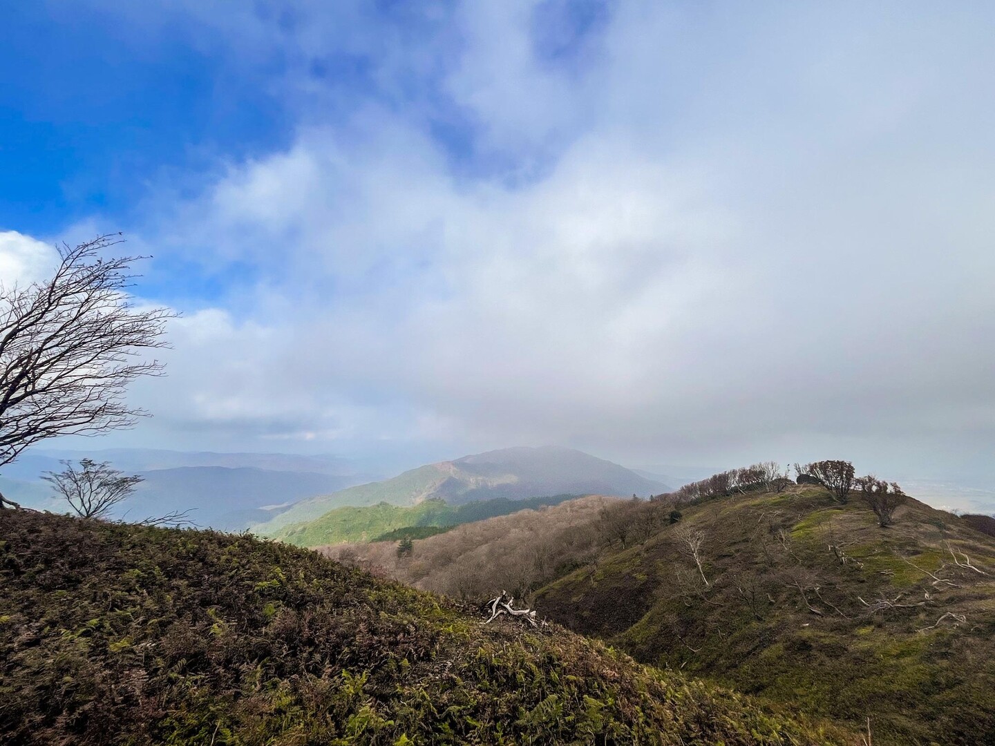 武奈ヶ岳～蛇谷ヶ峰縦走 / Tim the Greenbearsさんの比良山地・武奈ヶ岳・釈迦岳の活動データ | YAMAP / ヤマップ
