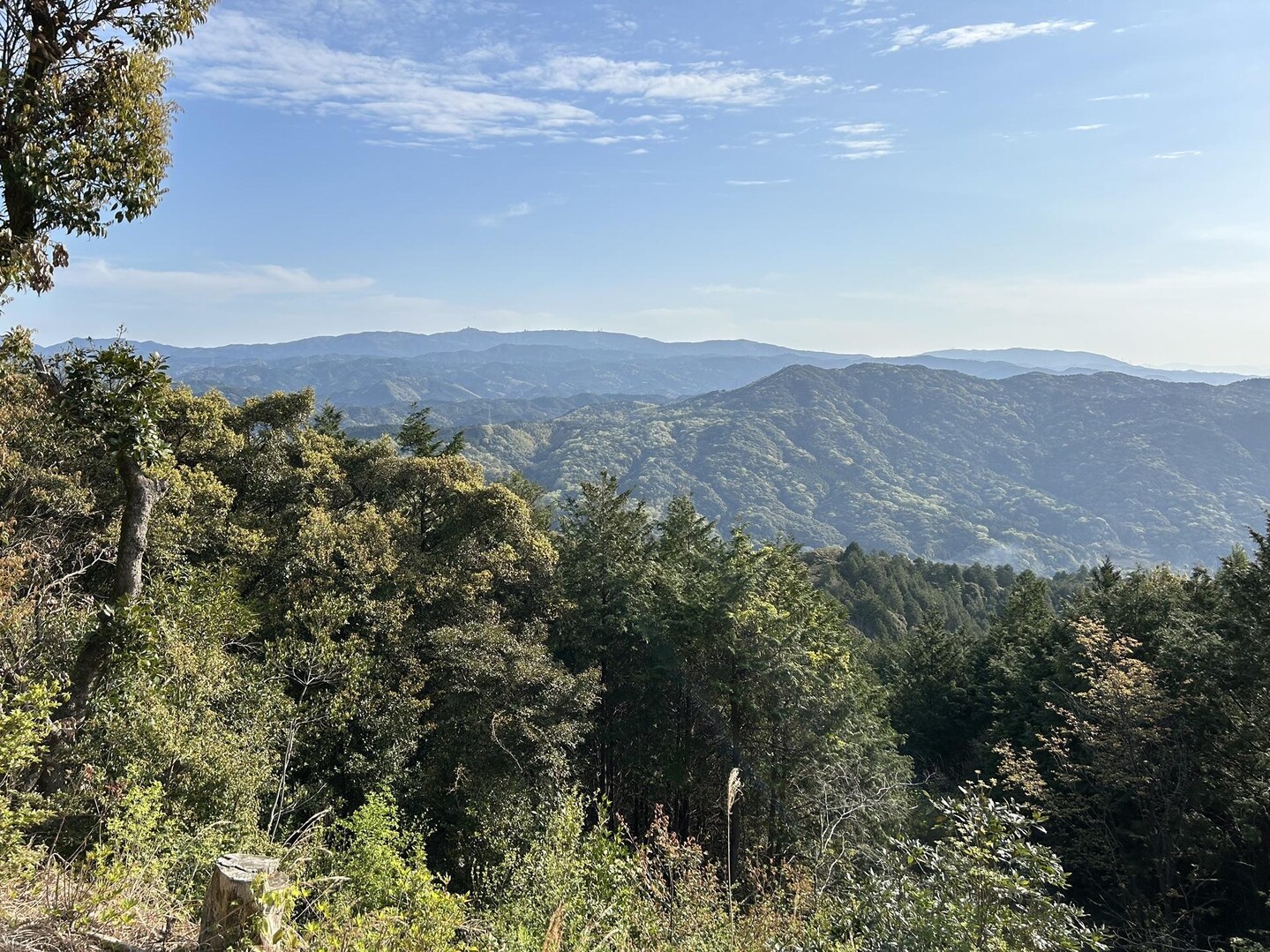 🥳初めての金立山⛰️を楽しむ ️ / masapi-さんの金立山・金敷城山の活動データ | YAMAP / ヤマップ