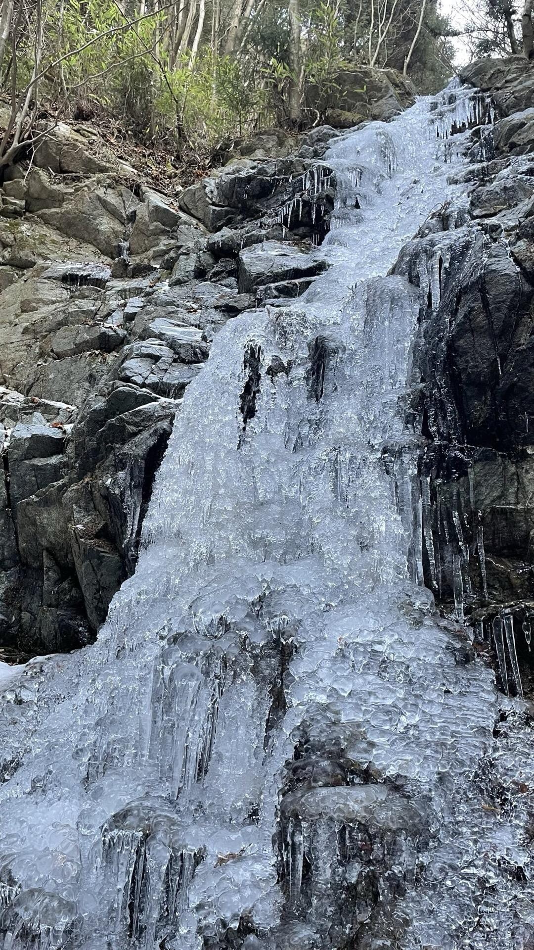 金剛山 4th / ゆきえさんの金剛山・二上山・大和葛城山の活動データ | YAMAP / ヤマップ