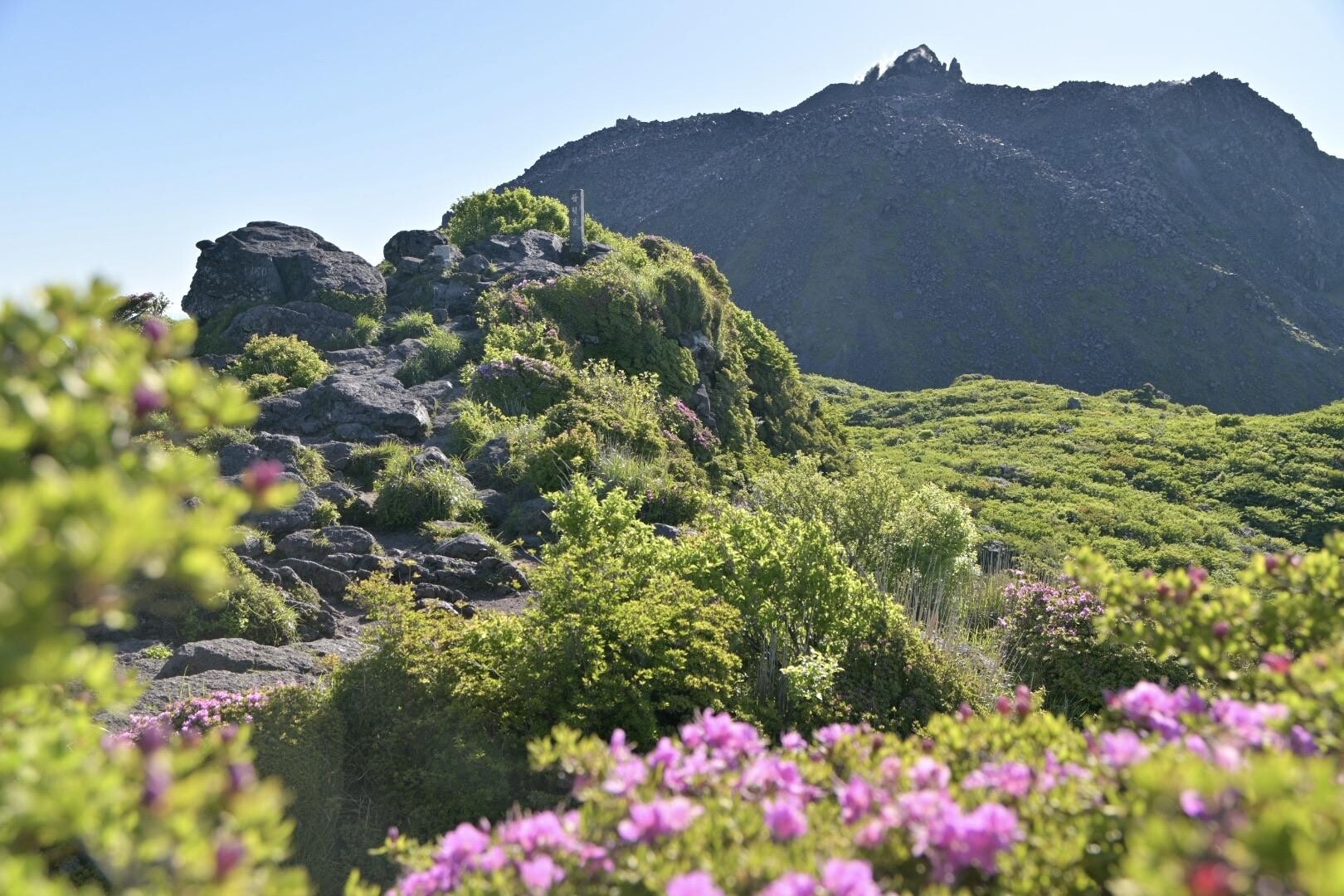 朝駆け目指して普賢岳 / me_holicさんの雲仙岳・普賢岳・絹笠山の活動データ | YAMAP / ヤマップ