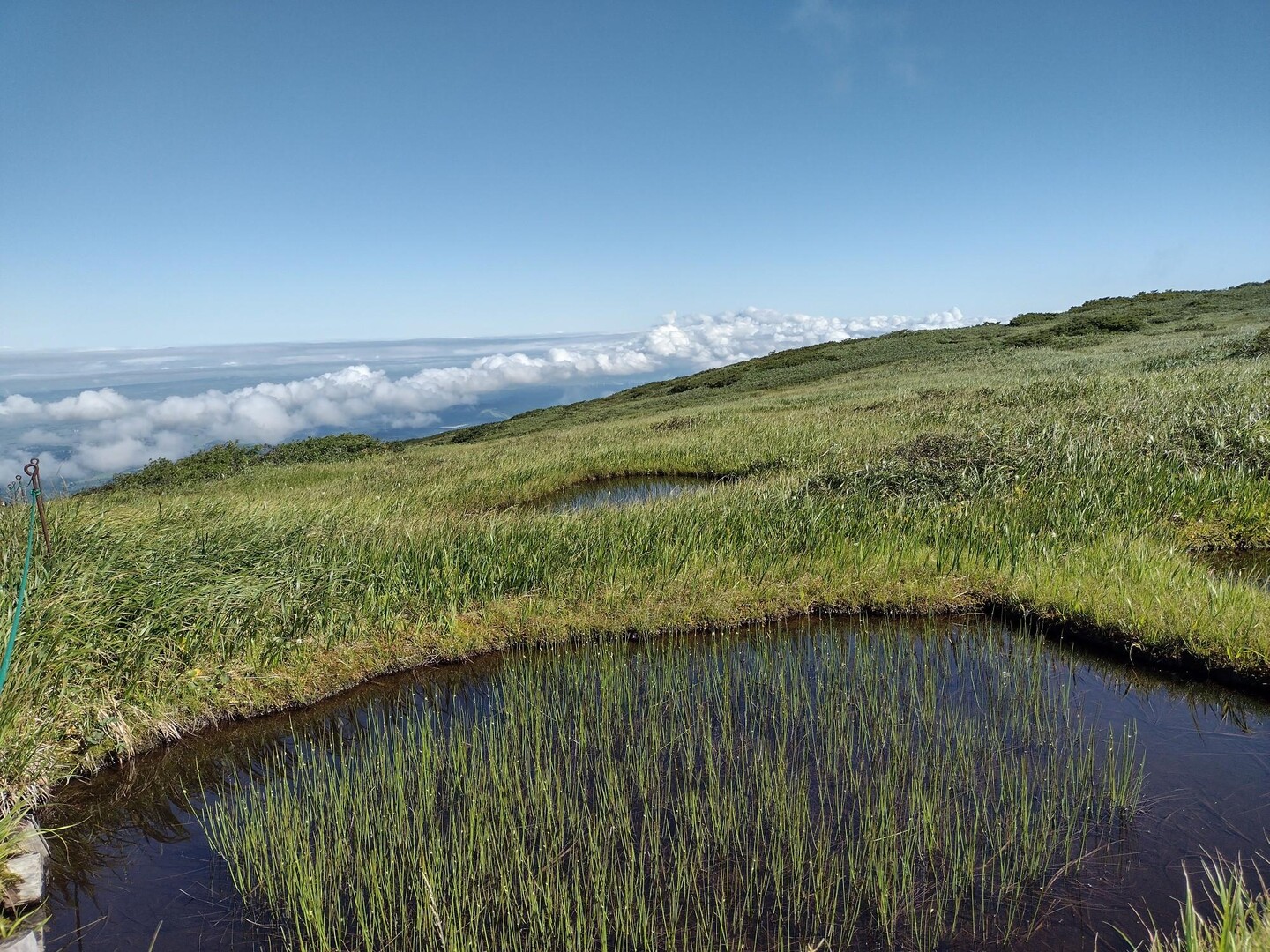 一ノ岳・二ノ岳・オモワシ山・月山 / Andrewさんの月山の活動データ | YAMAP / ヤマップ