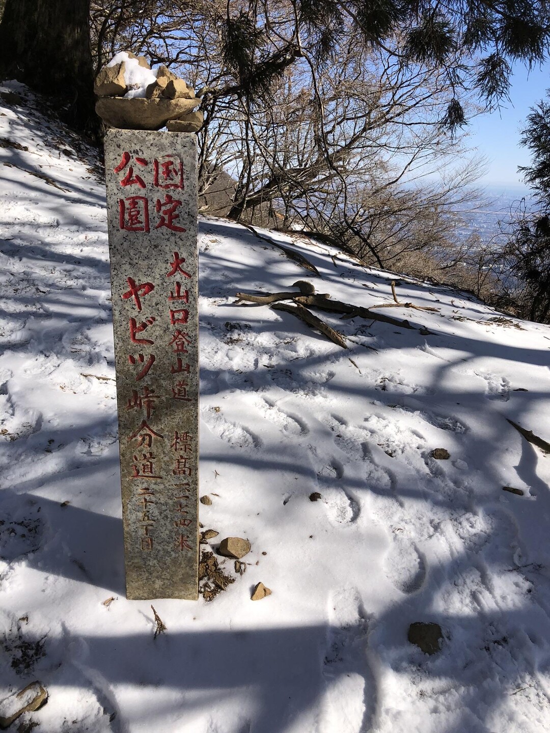 初雪の大山 / YASさんの大山の活動データ | YAMAP / ヤマップ