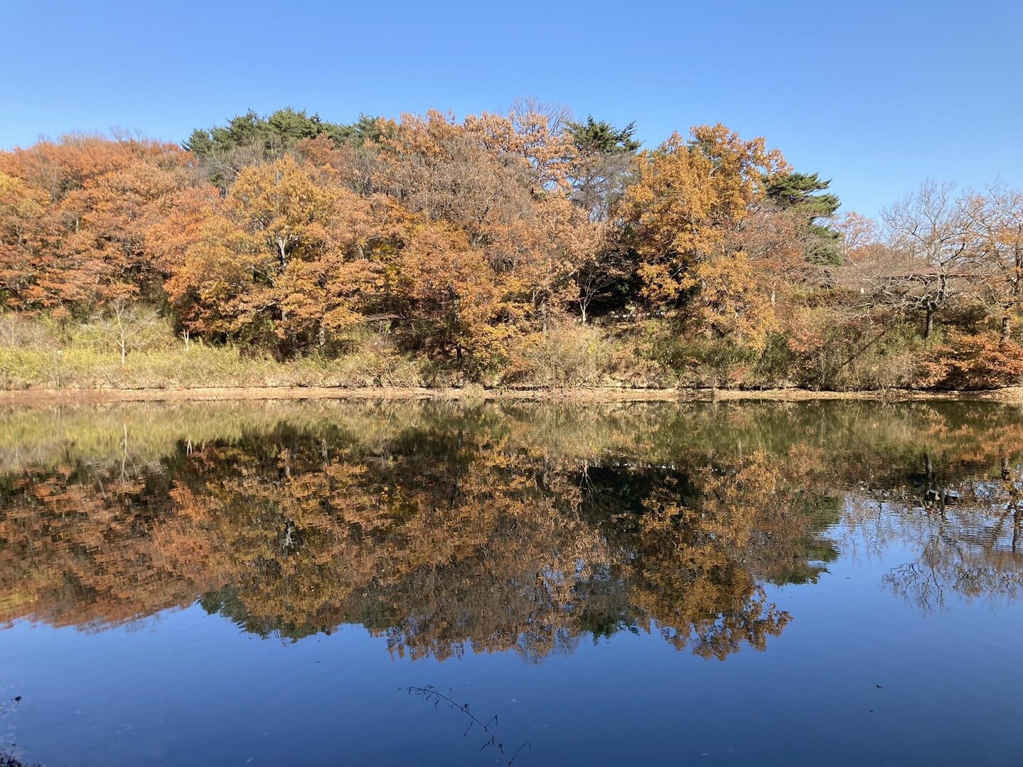 ポンポン山と八丁湖 / plasmonさんの中山道（桶川宿・鴻巣宿・熊谷宿）の活動データ | YAMAP / ヤマップ