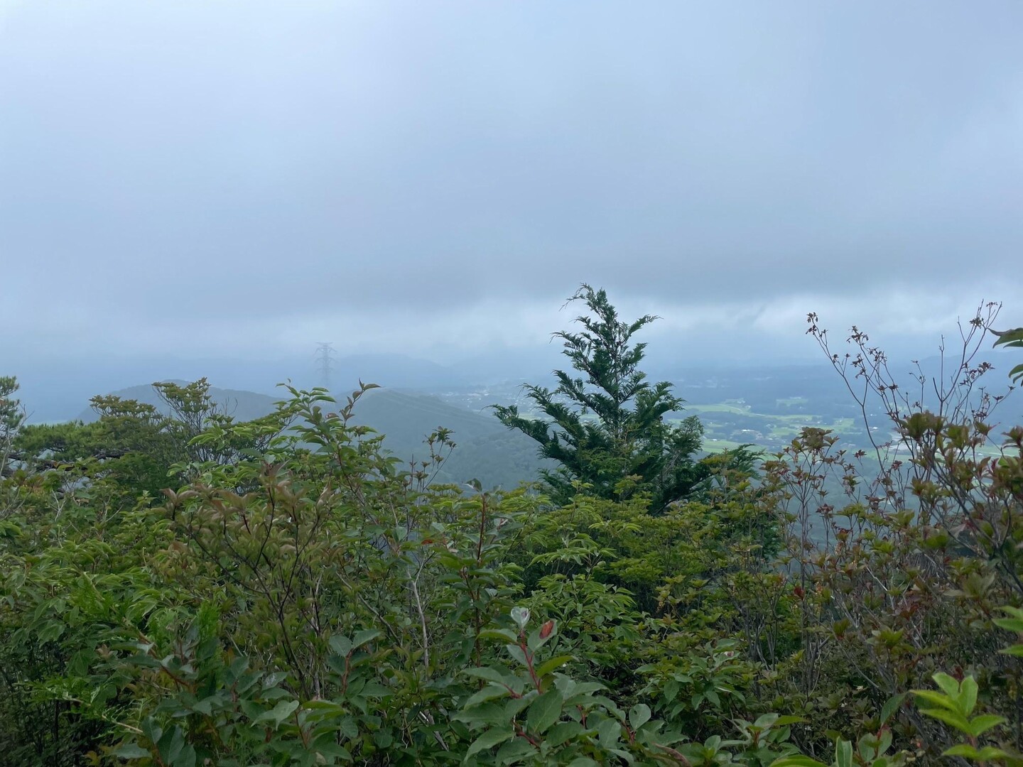 540P・長倉山 / ぴろさんの古賀志山・赤岩山・鞍掛山・男抱山・半蔵山の活動データ | YAMAP / ヤマップ