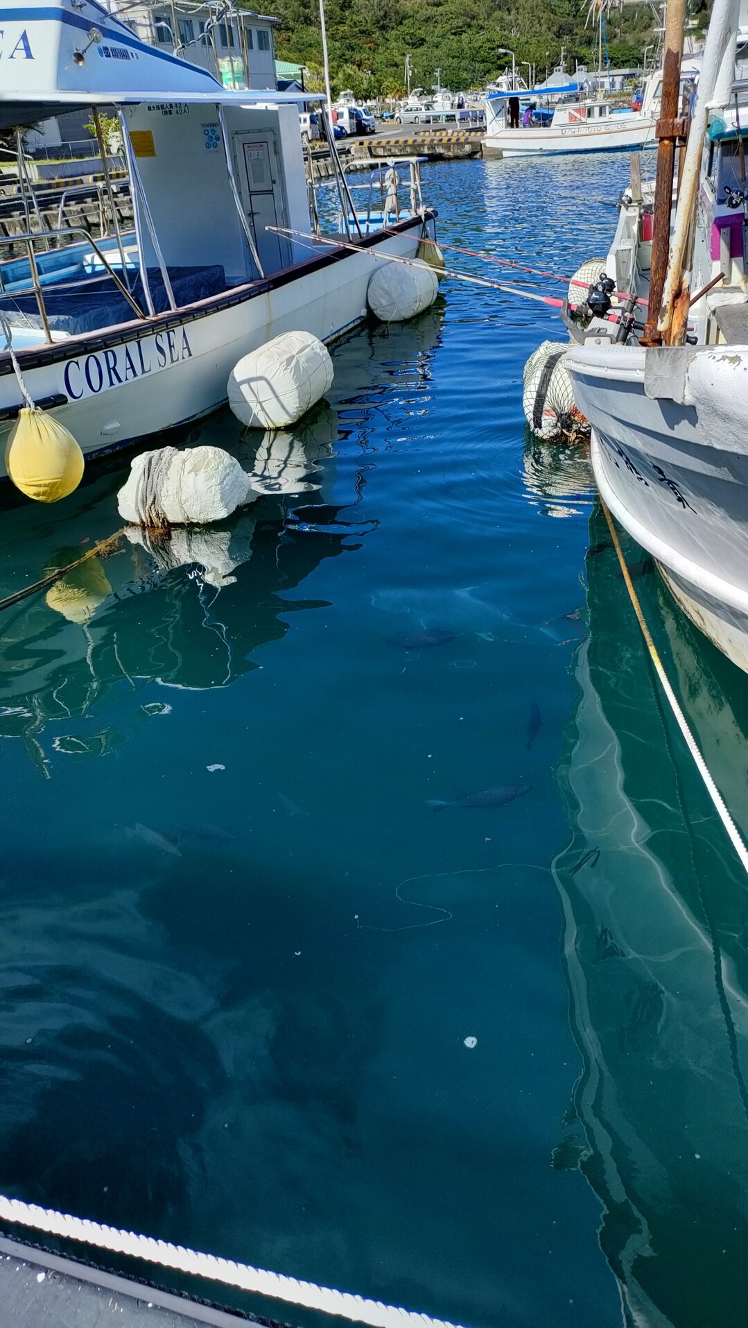 GT / ぽっこりさんのモーメント | YAMAP / ヤマップ