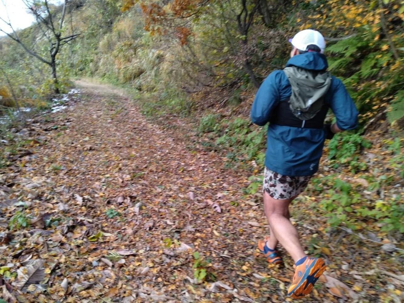 勝龍の坦々ダブル食う為に長岡東山山系トレイル21k周回 / タツさんの鋸山・三ノ峠山・八方台の活動データ | YAMAP / ヤマップ