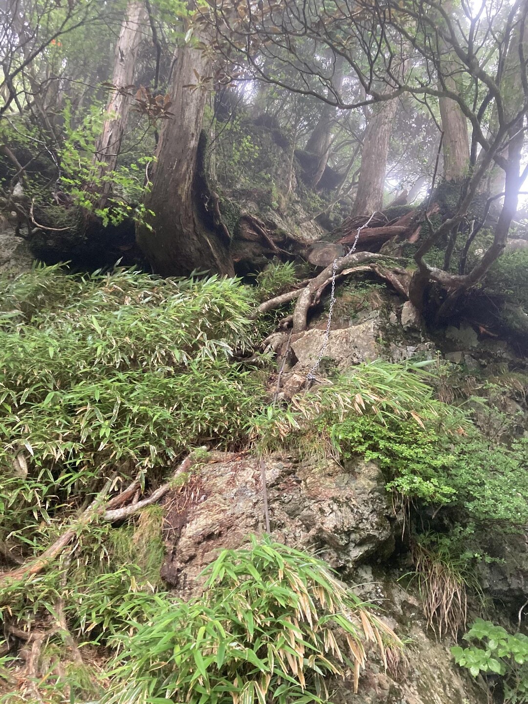 akimetalさんの投稿したフィールドメモ | YAMAP / ヤマップ