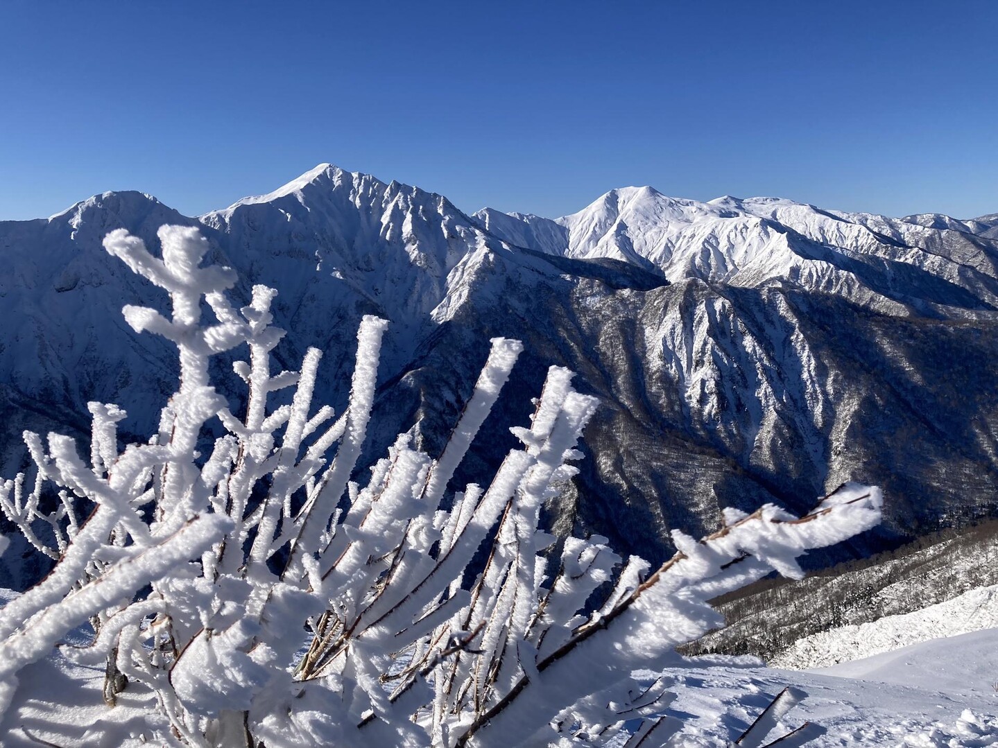 茂倉岳 / ☆ tsu-sun ☆さんの谷川岳・七ツ小屋山・大源太山の活動データ | YAMAP / ヤマップ
