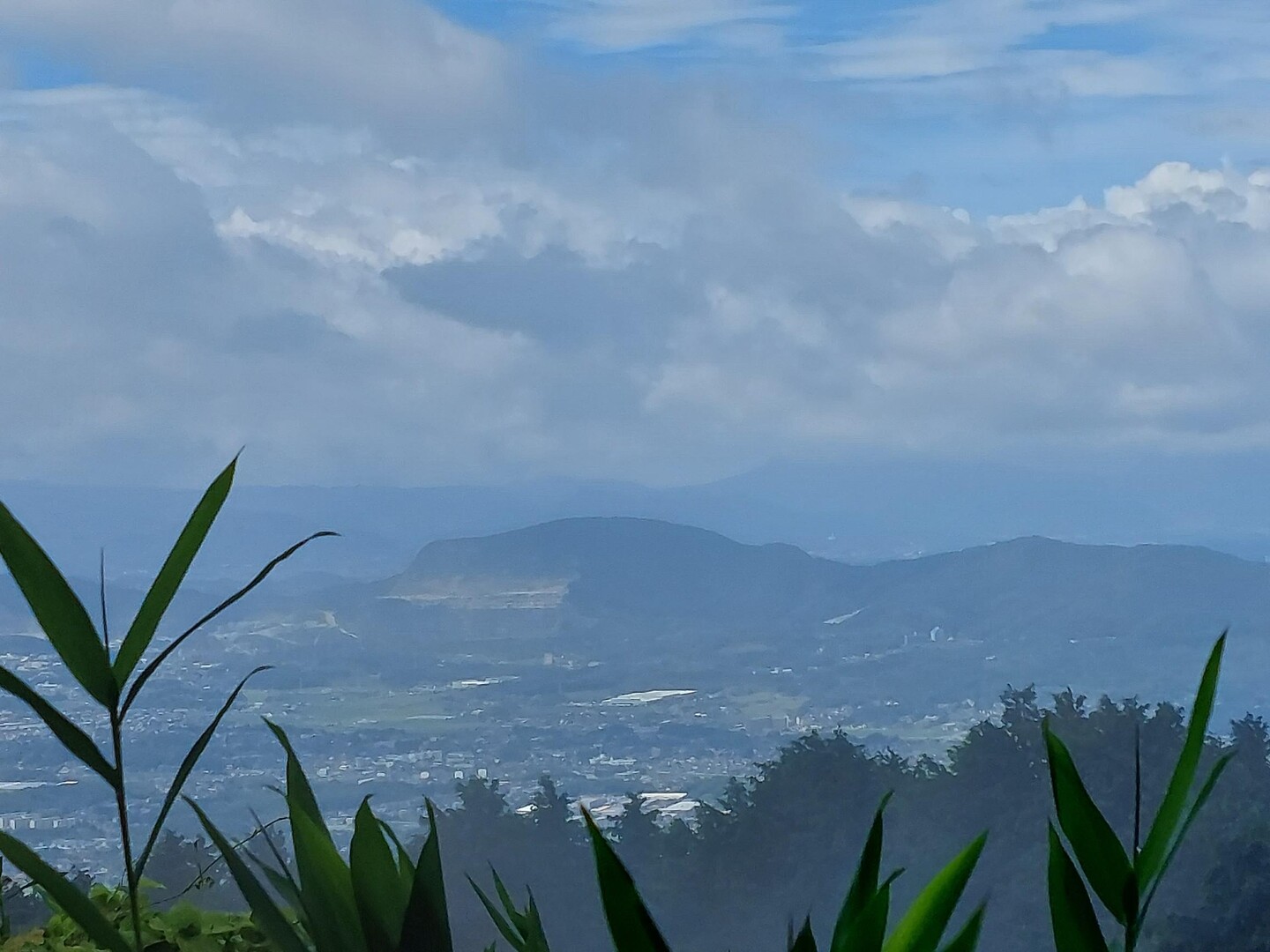 鷹巣山・牛斬山 / Asami-Mさんの福智山・尺岳・雲取山の活動データ | YAMAP / ヤマップ