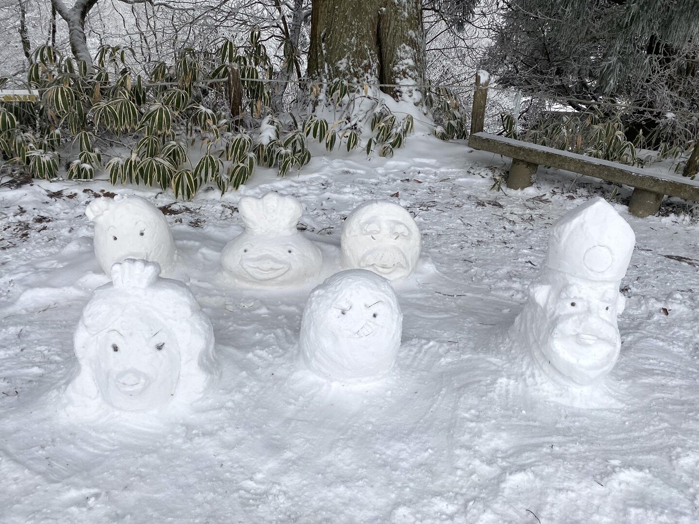 金剛山⛄️ ️ / maunaさんの金剛山・二上山・大和葛城山の活動データ | YAMAP / ヤマップ