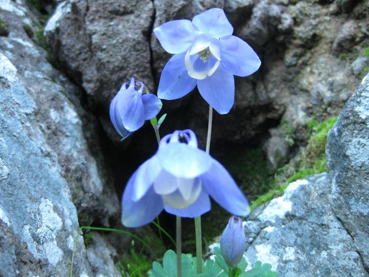 noanoaのページ | YAMAP / ヤマップ