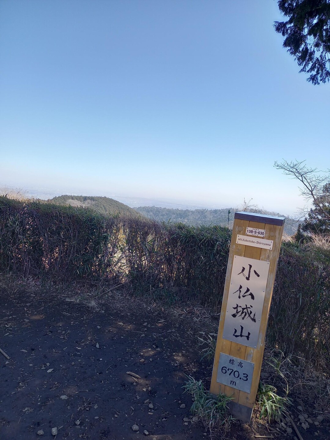 城山（小仏城山）・高尾山 / ayakootaさんの高尾山・陣馬山・景信山の活動データ | YAMAP / ヤマップ