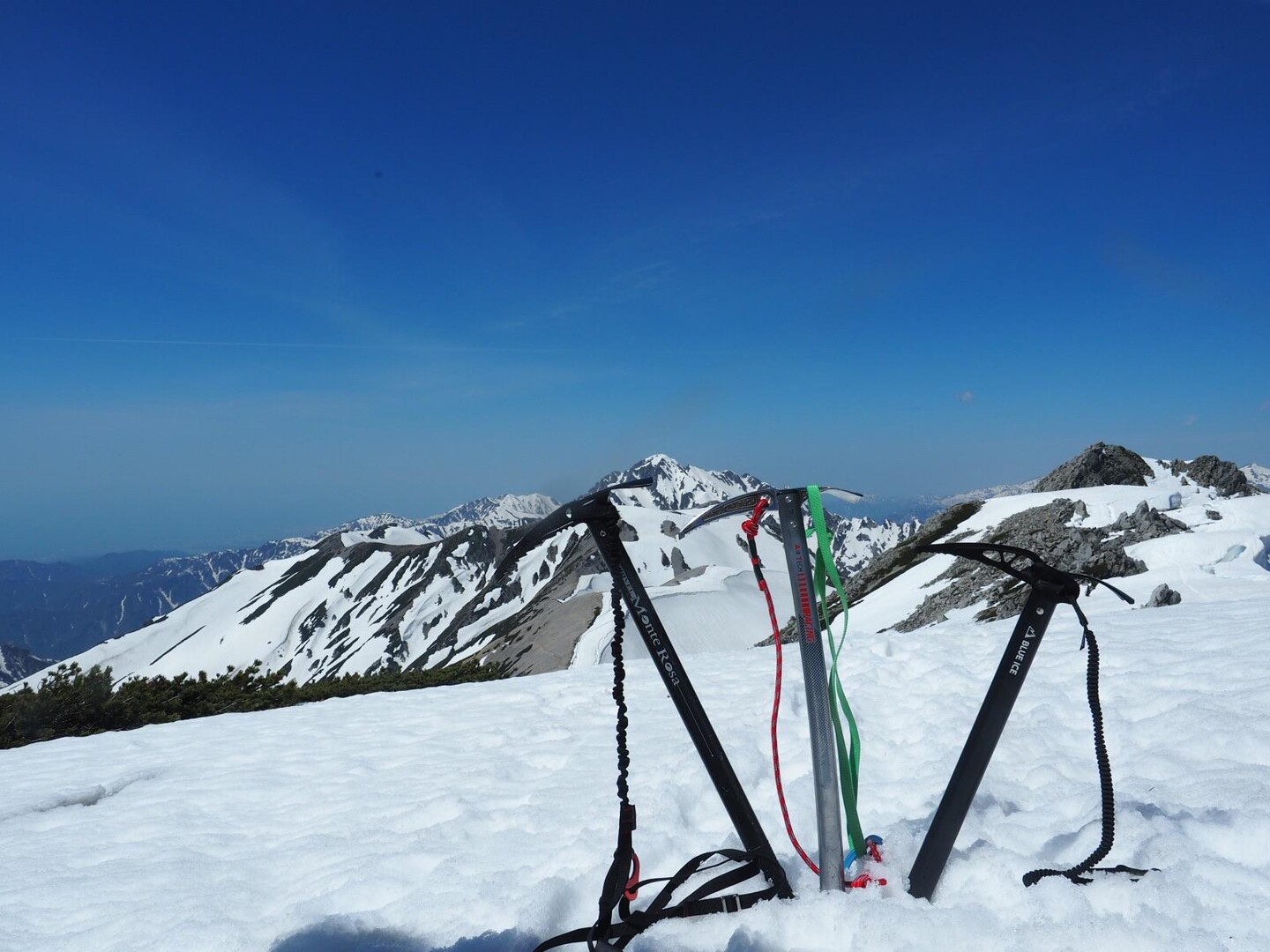 残雪期の立山。奥大日岳と立山三座と雷鳥と。 / tamuさんの剱岳の活動データ | YAMAP / ヤマップ