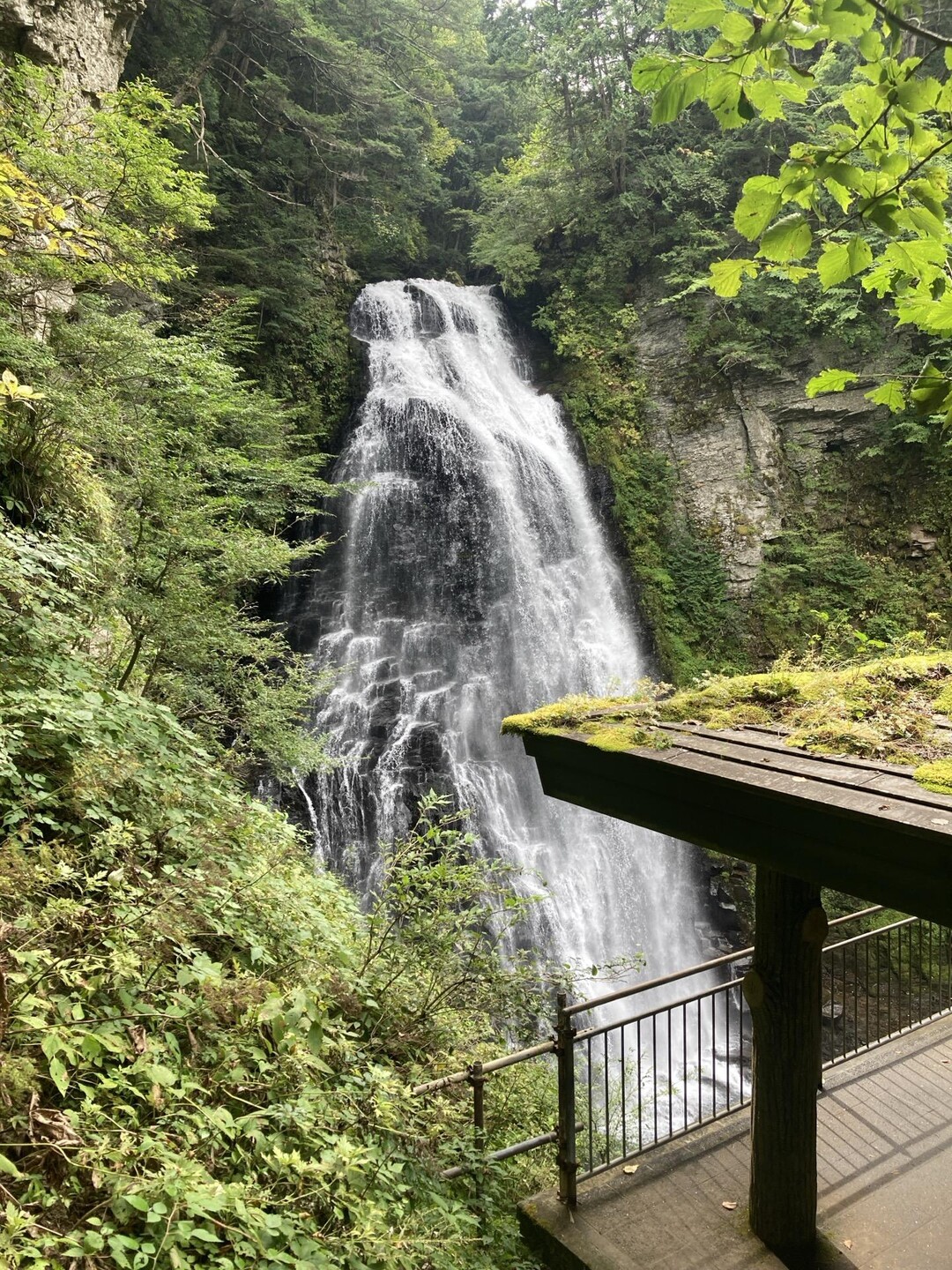 乗鞍 番所大滝 / showさんのウォーキングの活動データ | YAMAP / ヤマップ