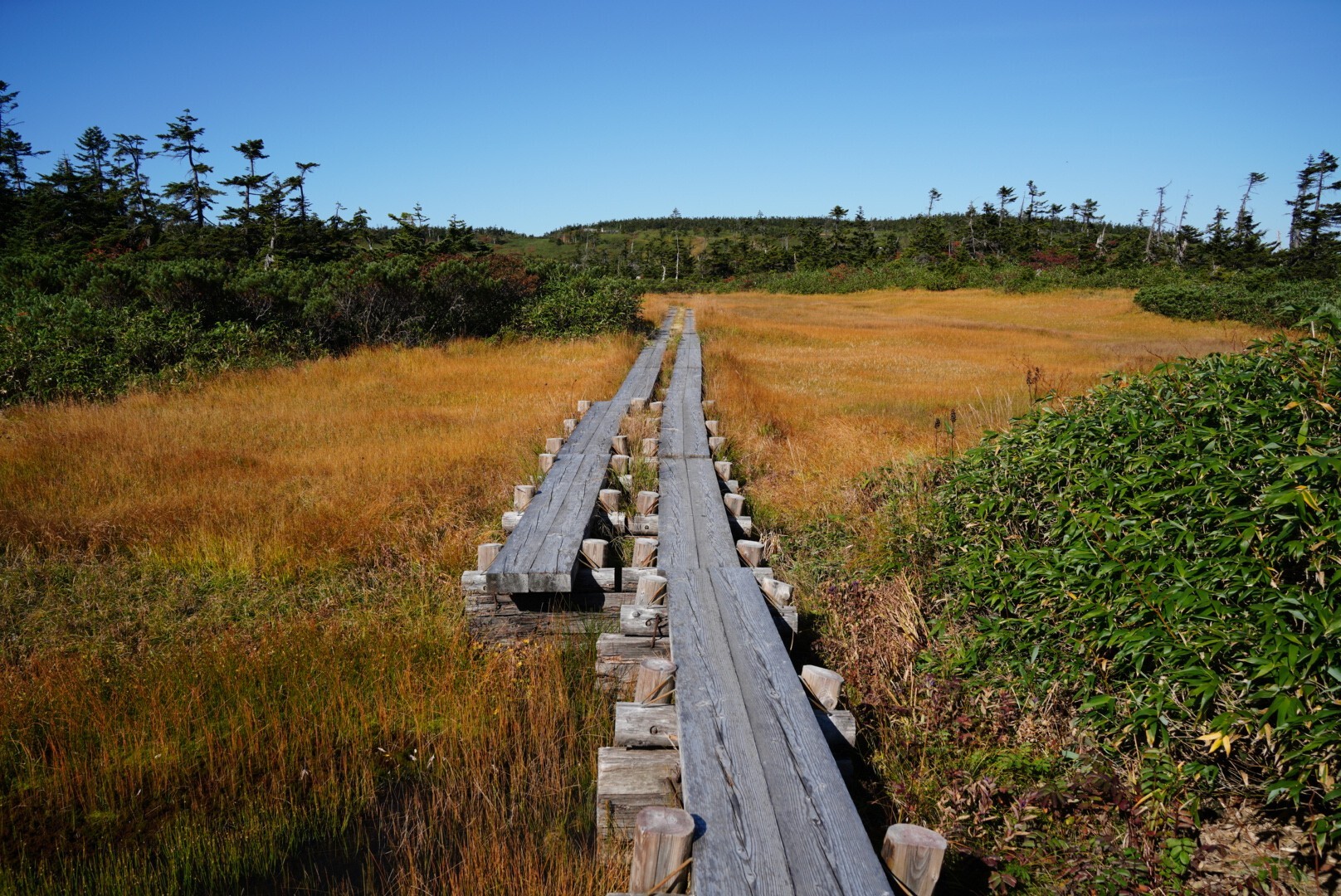 百名山 57座目 八幡平 / ta2さんの八幡平・源太森・安比岳の活動データ | YAMAP / ヤマップ
