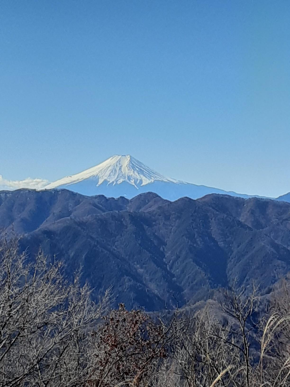 槇寄山🗻 YAMAP開始2周年😉 / spesさんの三頭山・槇寄山・土俵岳の活動データ | YAMAP / ヤマップ