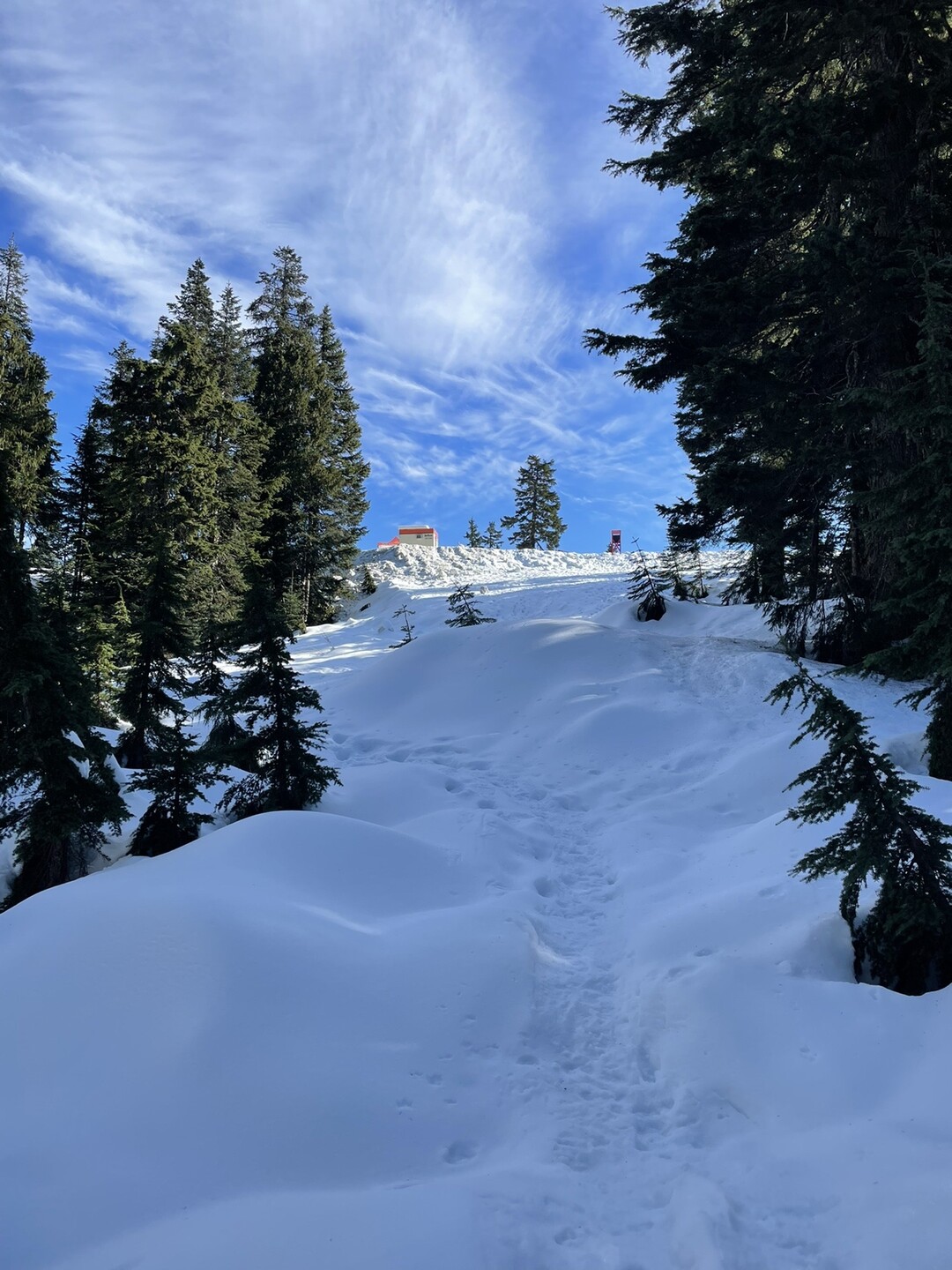 Dog mountain-911m / コロさんのマウント・シーモア州立公園の活動データ | YAMAP / ヤマップ