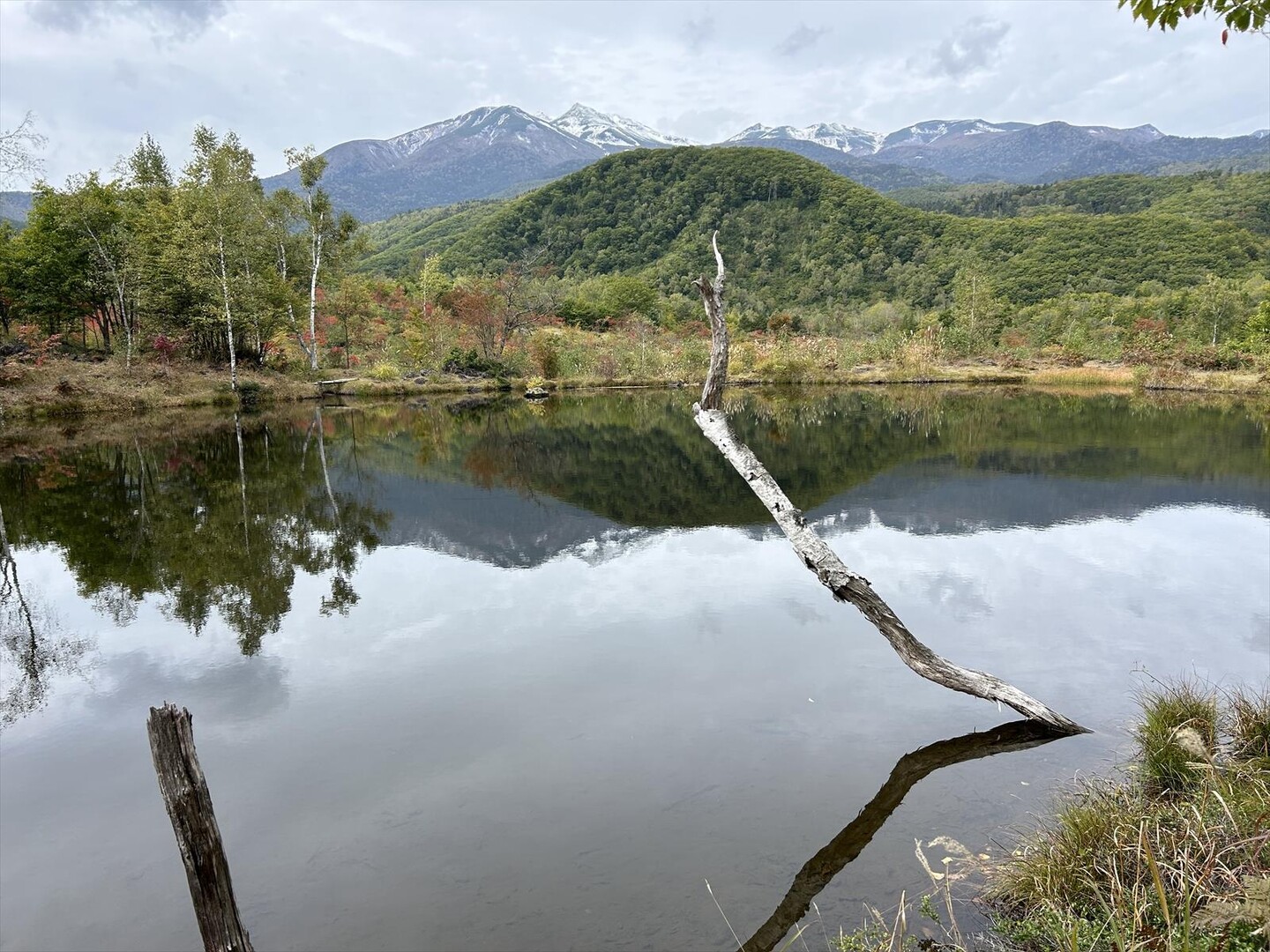 乗鞍高原一の瀬園地 / sensaさんの乗鞍岳の活動データ | YAMAP / ヤマップ
