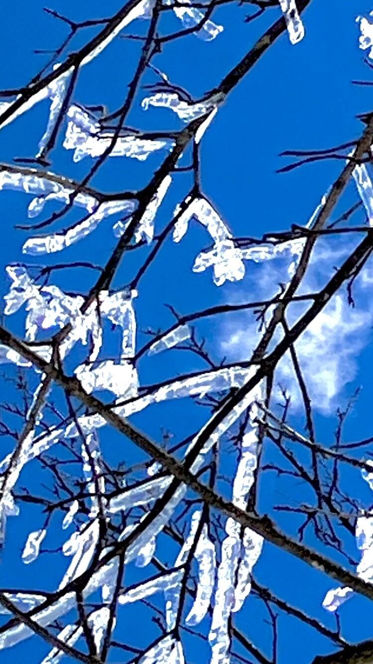 見上げたら『なんとなく、クリスタル』でし... / Ken miuさんのモーメント | YAMAP / ヤマップ