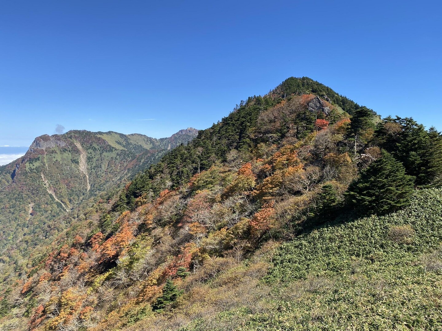 堂ヶ森・鞍瀬ノ頭 2202-10-14 / TA-oneさんの石鎚山・堂ヶ森・二ノ森の活動データ | YAMAP / ヤマップ