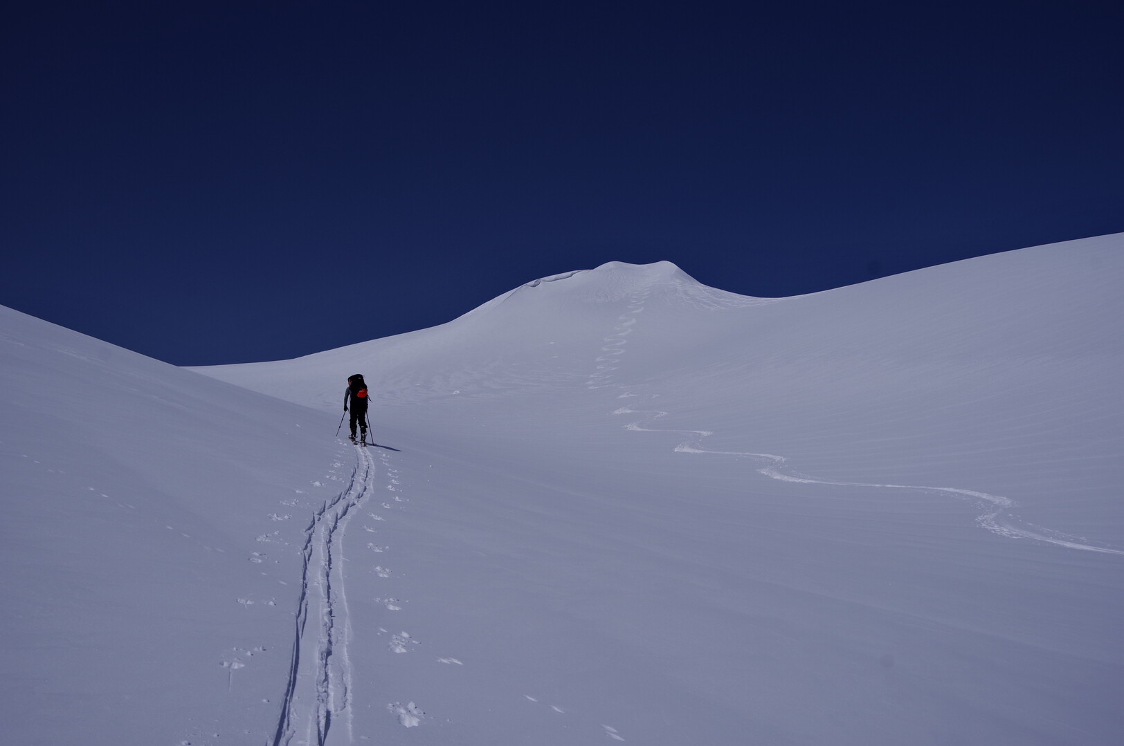 宝川～大烏帽子山BC～天国からのシュプール～ / Mt.yuさんの朝日岳の活動データ | YAMAP / ヤマップ