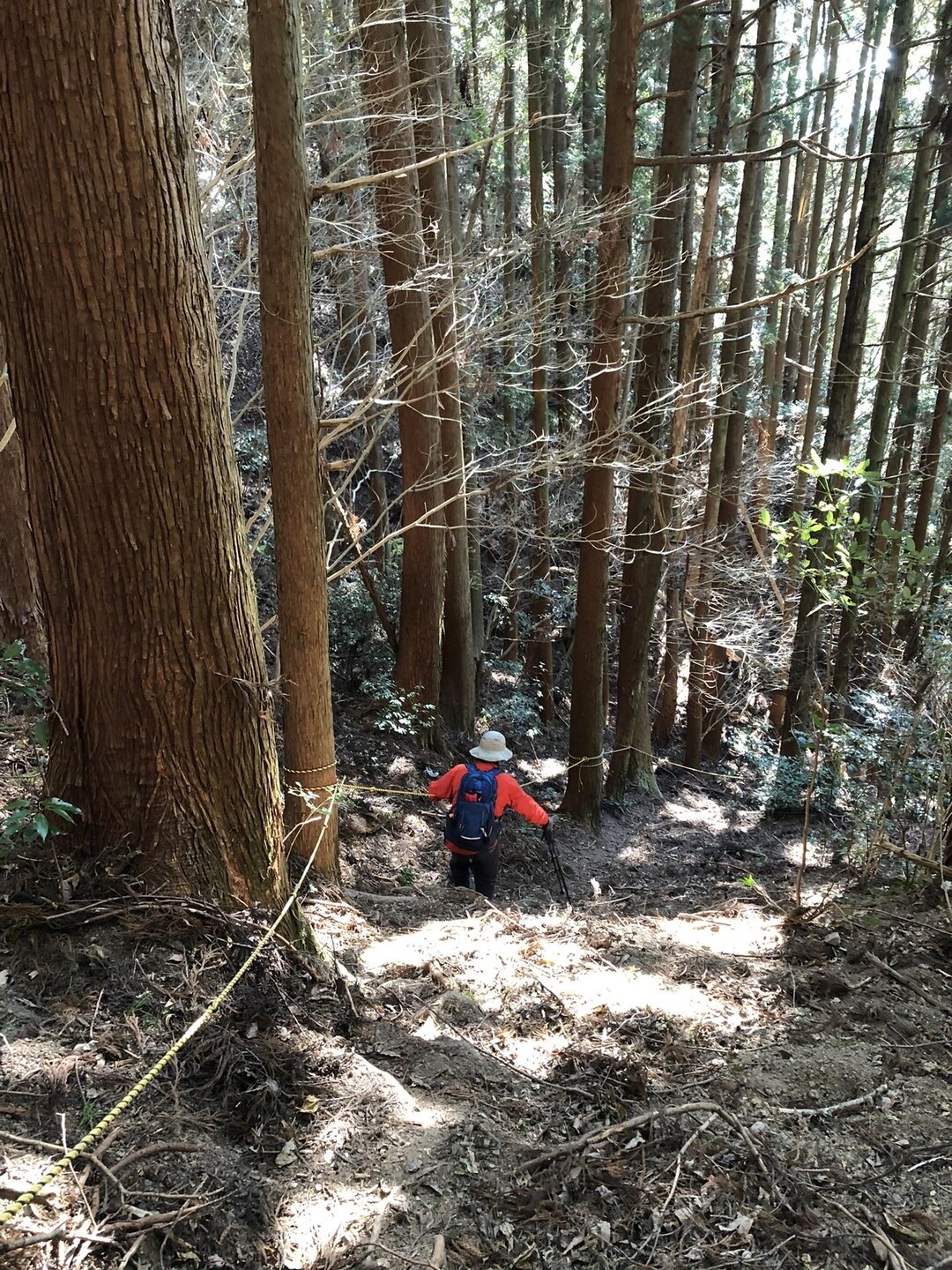 石見寺山 / ta3netさんの石見寺山の活動データ | YAMAP / ヤマップ