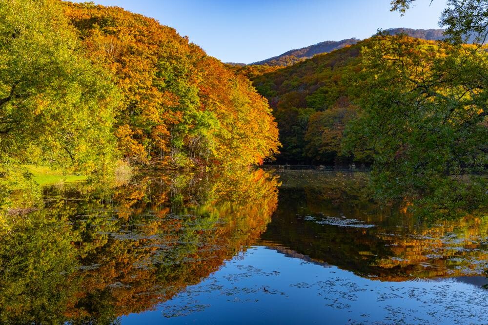 裏磐梯の五色沼 with わんこ / コズタカさんの磐梯山・雄国山・赤埴山の活動データ | YAMAP / ヤマップ