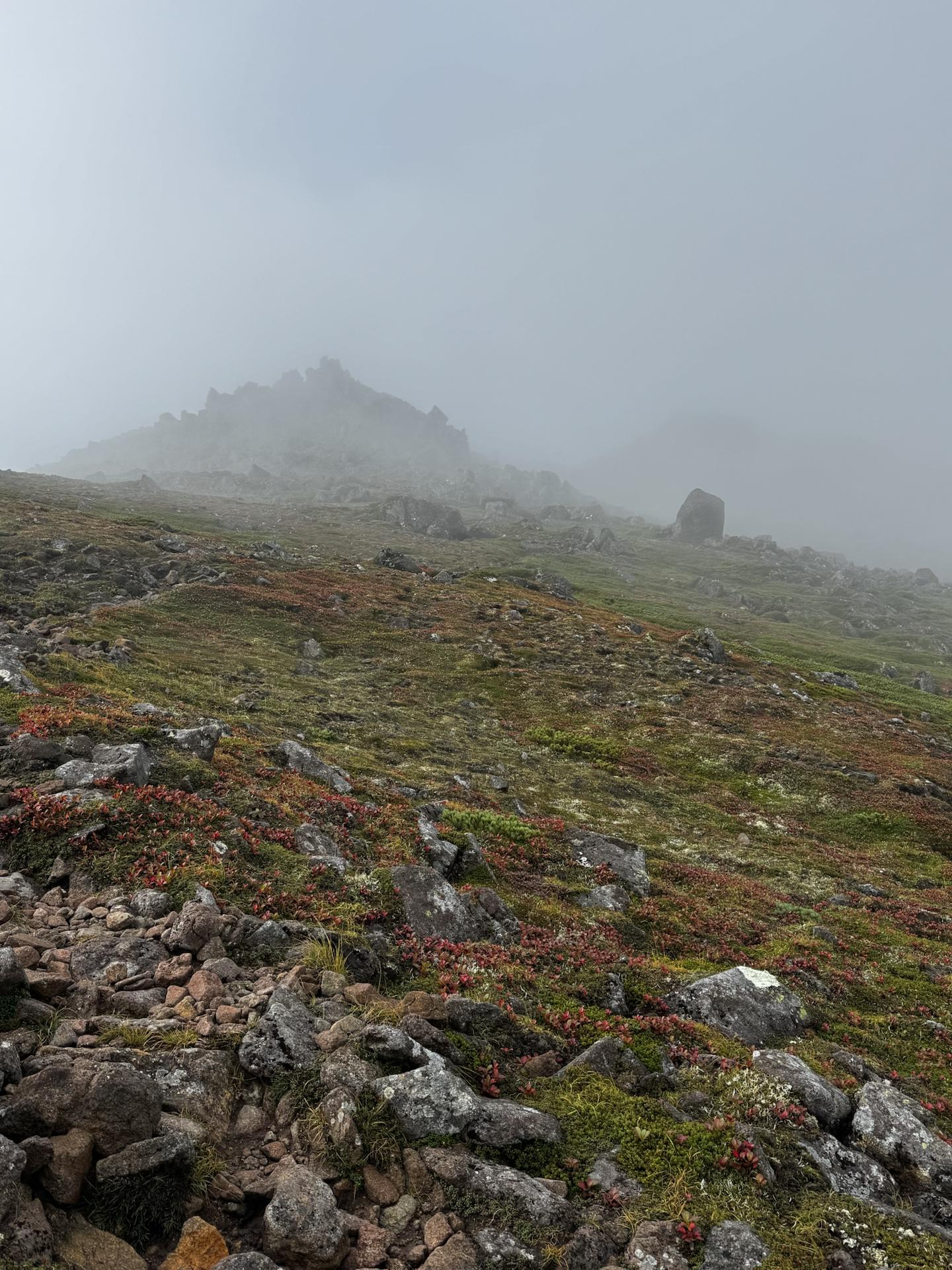 大雪山縦走day4 / BMI23.8さんの大雪山系・旭岳・トムラウシの活動データ | YAMAP / ヤマップ