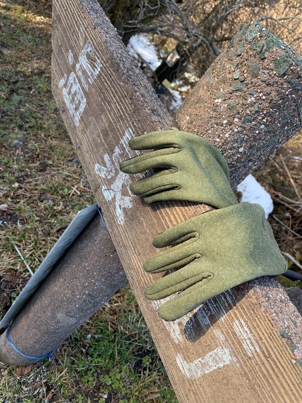 Rcoさんの投稿したフィールドメモ | YAMAP / ヤマップ