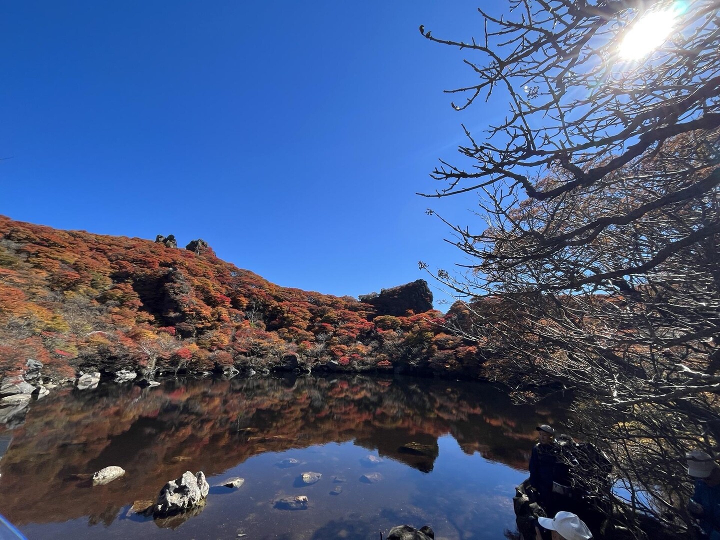 大船山⛰紅葉🍁 2022 / ra_nさんの九重山（久住山）・大船山・星生山の活動データ | YAMAP / ヤマップ