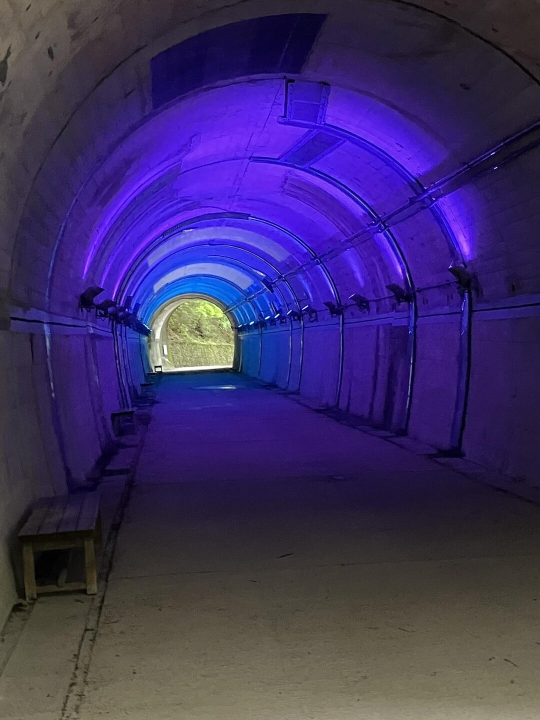 六甲山・長峰山・摩耶山-2024-06-09 / ERIさんの六甲山・長峰山・摩耶山の活動データ | YAMAP / ヤマップ