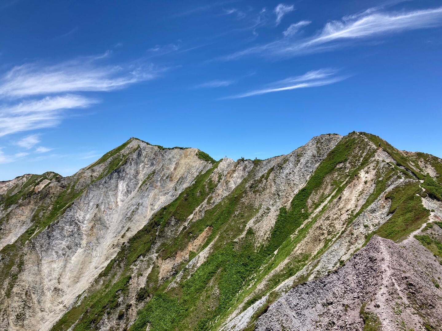 大山 三ノ沢からの槍ヶ峰・三ノ峰2020-06-21 / MTさんの大山・甲ヶ山・野田ヶ山の活動日記 | YAMAP / ヤマップ