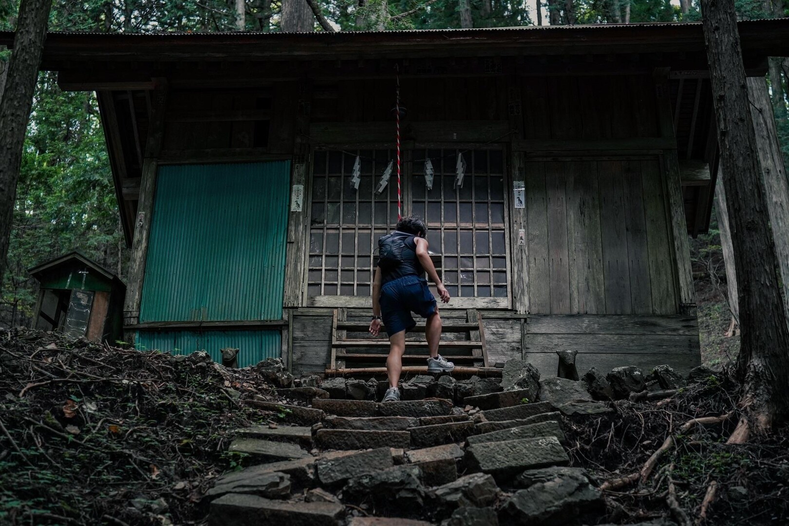 前日夜に決めた登山 / TATSUYA ABEさんの大岳山・御岳山・御前山の活動データ | YAMAP / ヤマップ