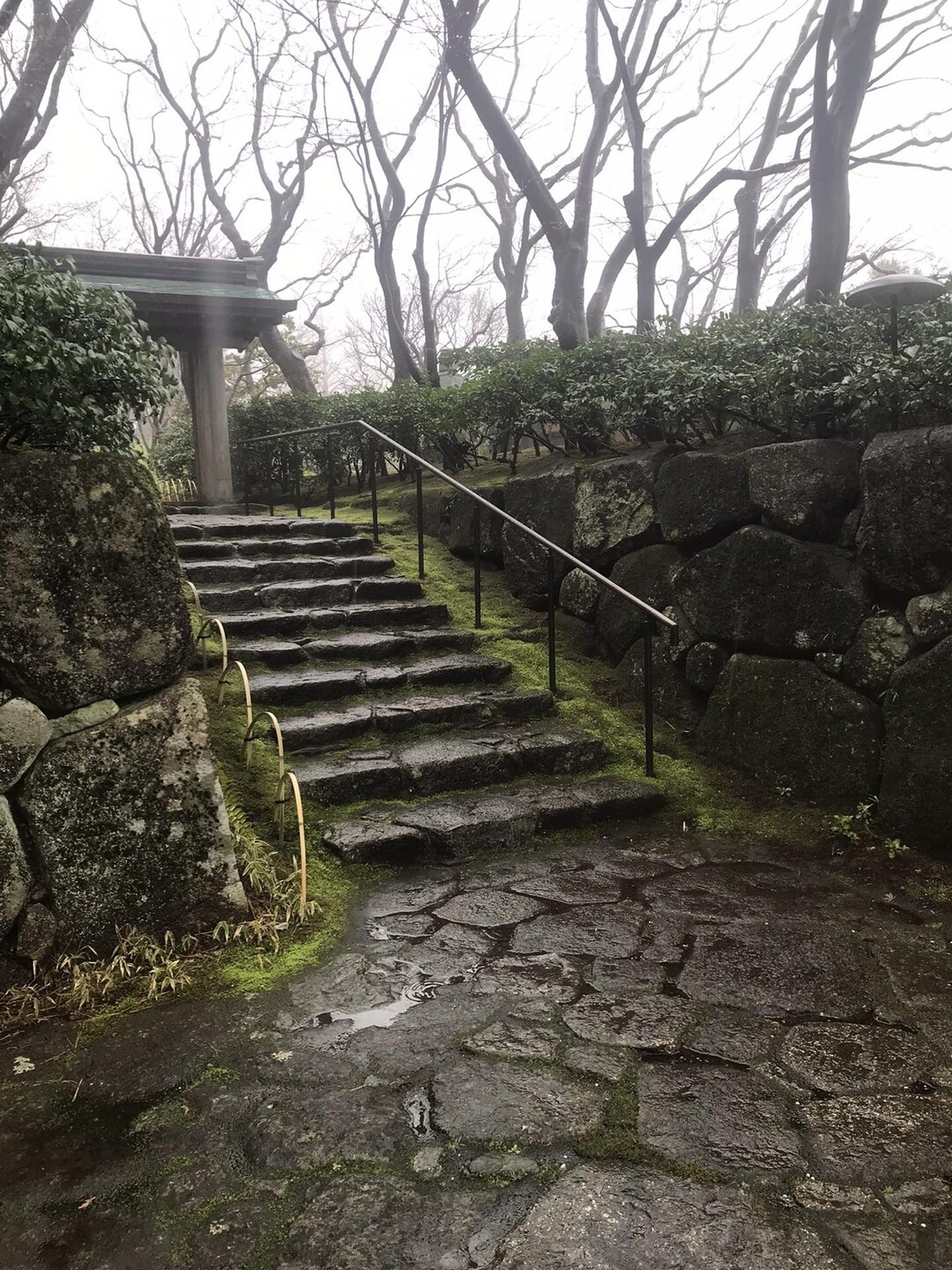 MOA美術館にて。最後は伊豆山神社です。... / drankmonkeyさんのモーメント | YAMAP / ヤマップ