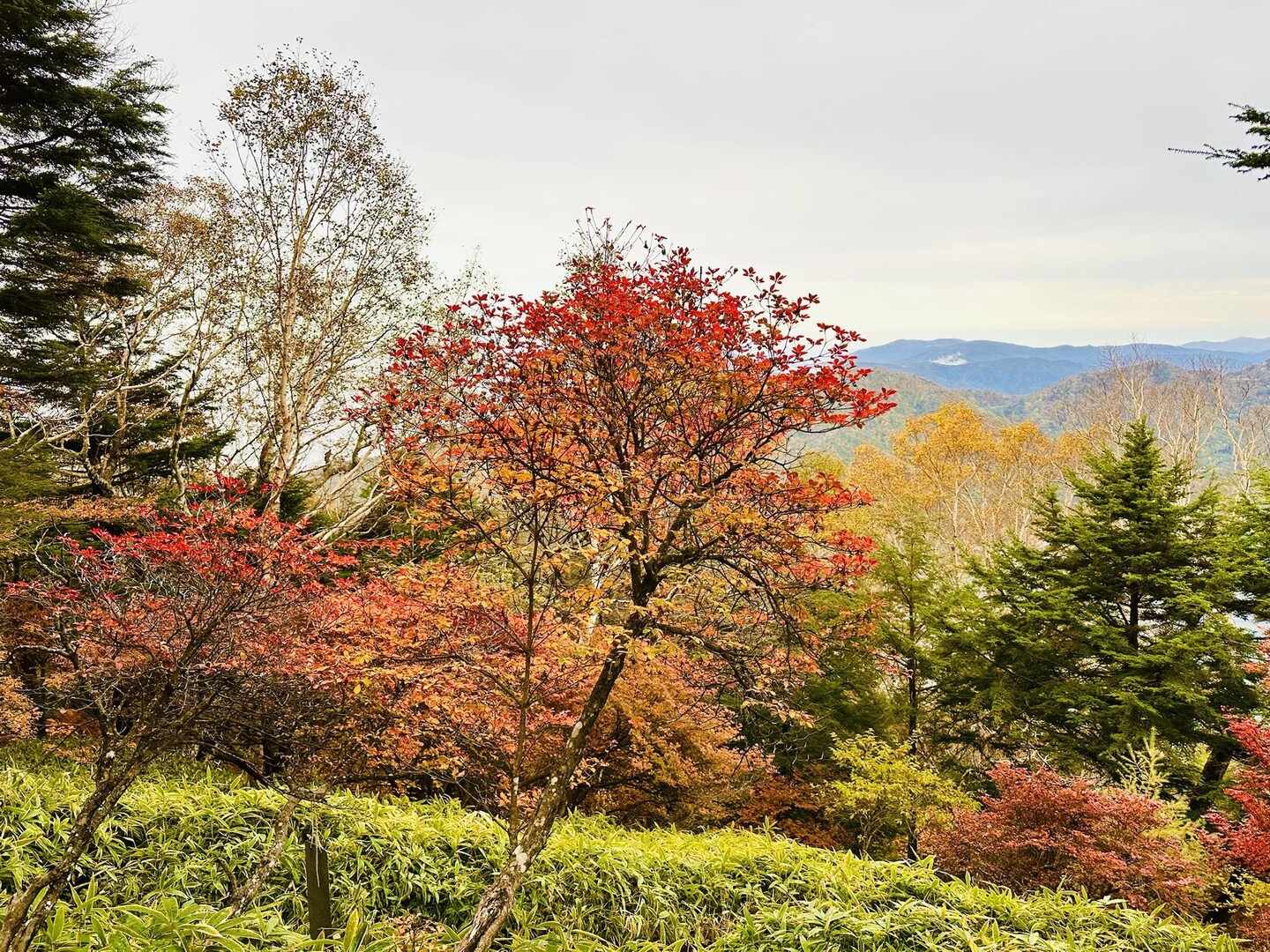 日光の紅葉🍁と男体山 / Kobaさんの男体山の活動日記 | YAMAP / ヤマップ